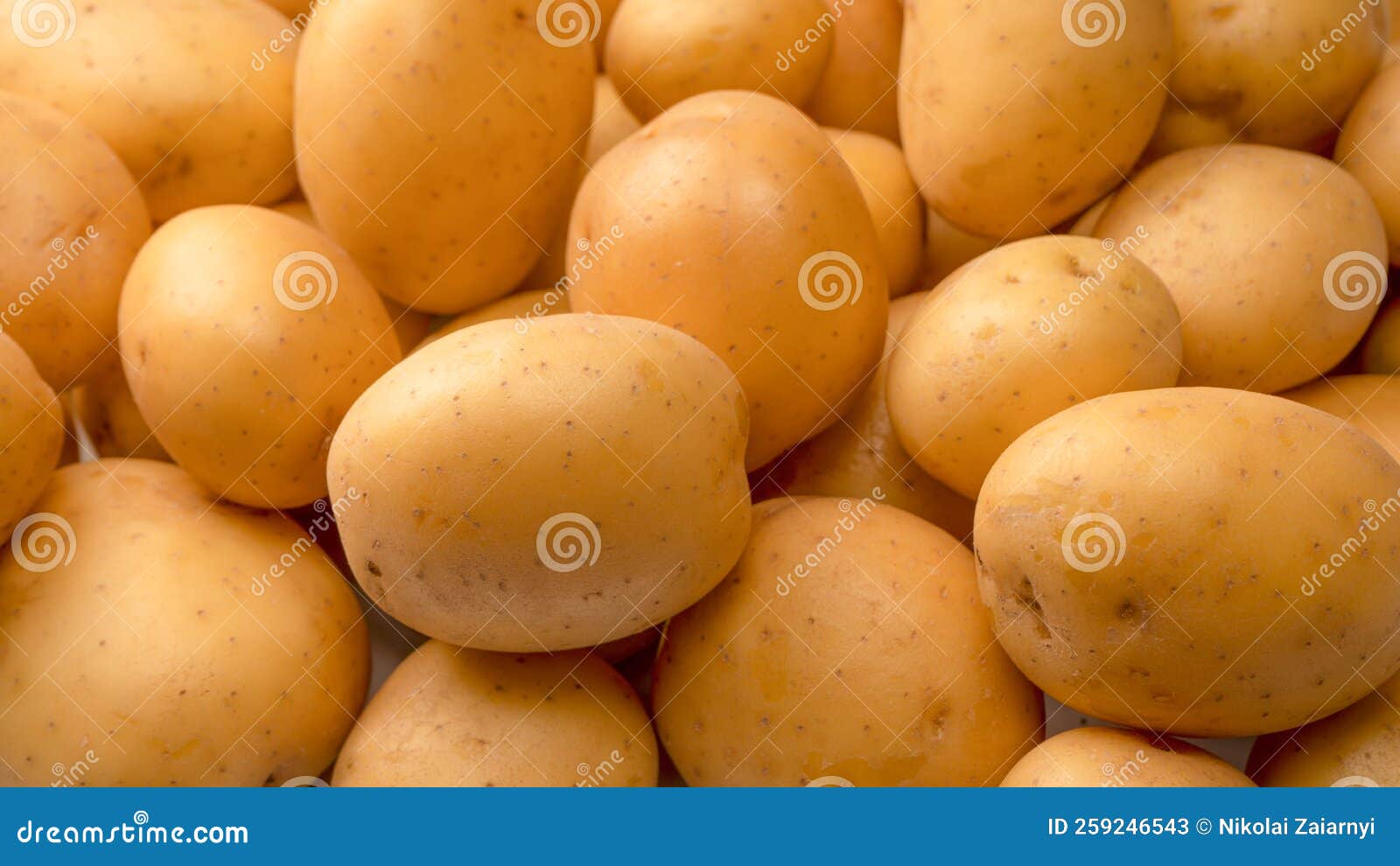 A Group of Fresh Tasty Potato As Background Stock Image - Image of ...