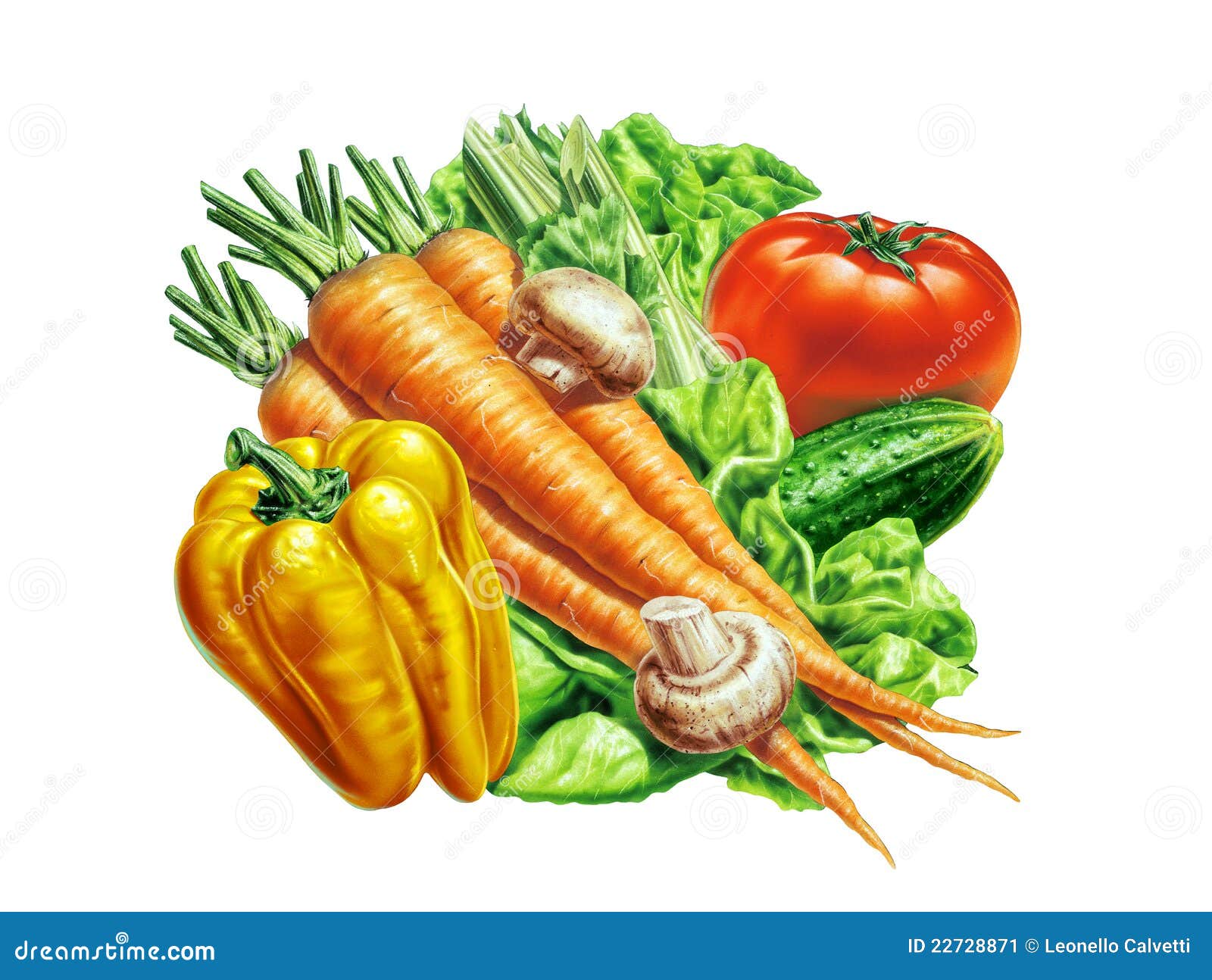 Group of fresh vegetables stock image. Image of lattice - 22728871