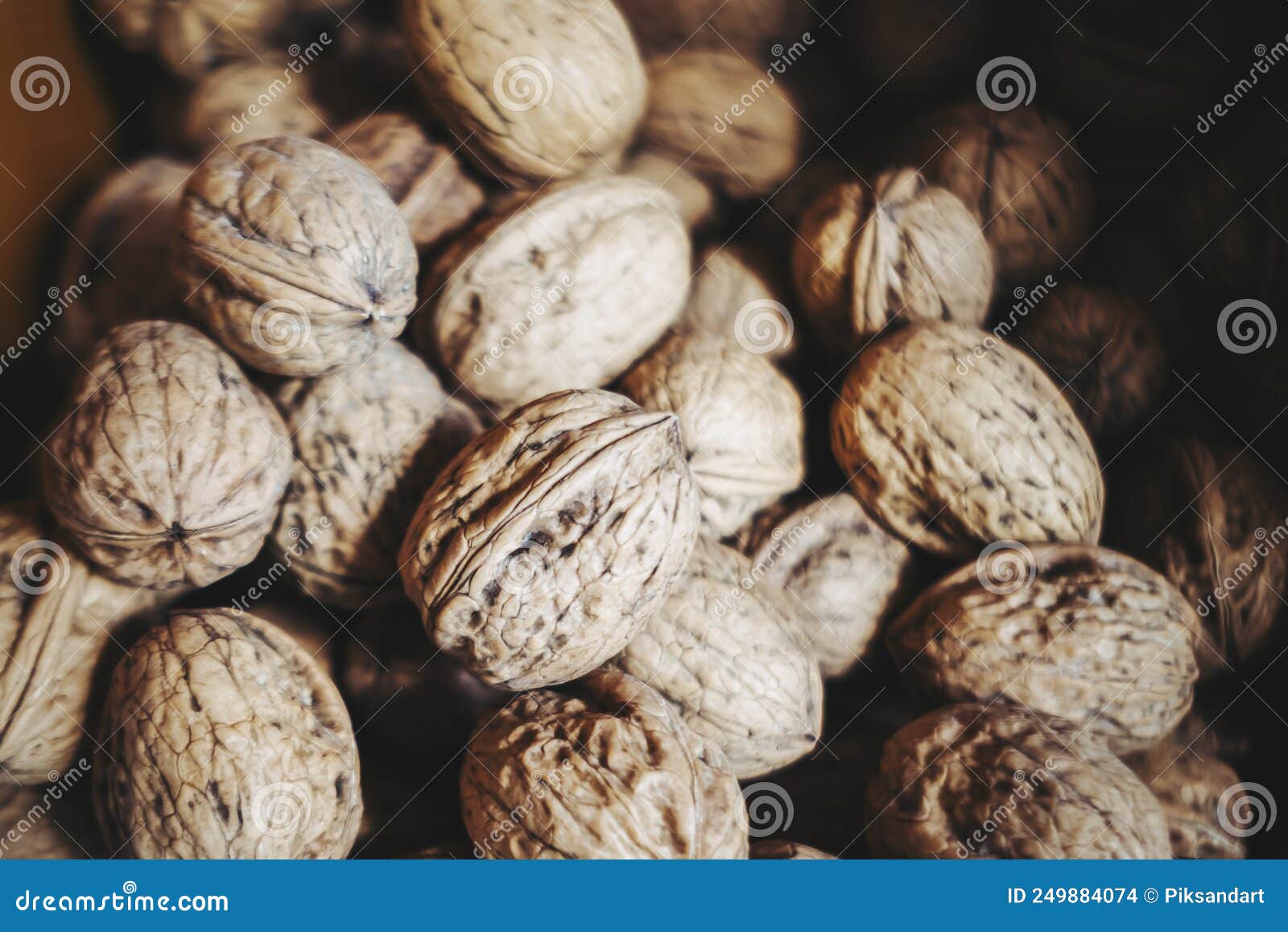Group of Fresh Walnuts in the Shell Stock Photo - Image of healthy ...