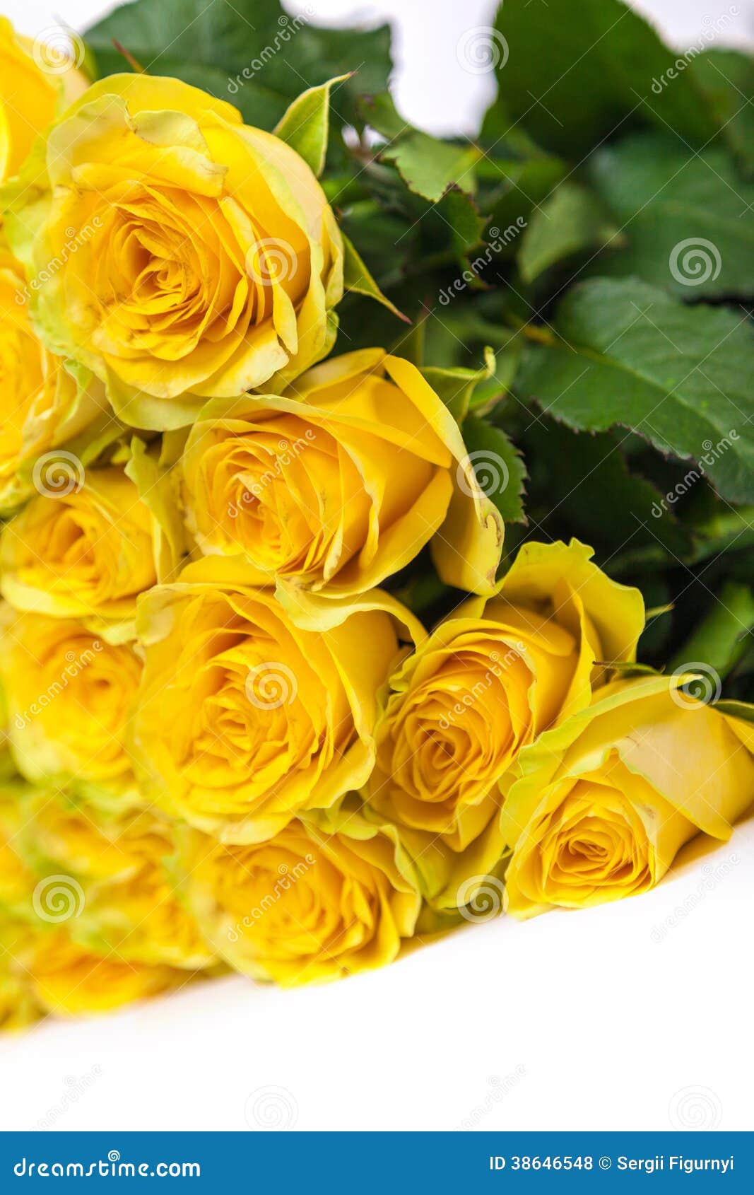 Group of Fresh Yellow Roses Stock Photo - Image of leaf, bunch: 38646548