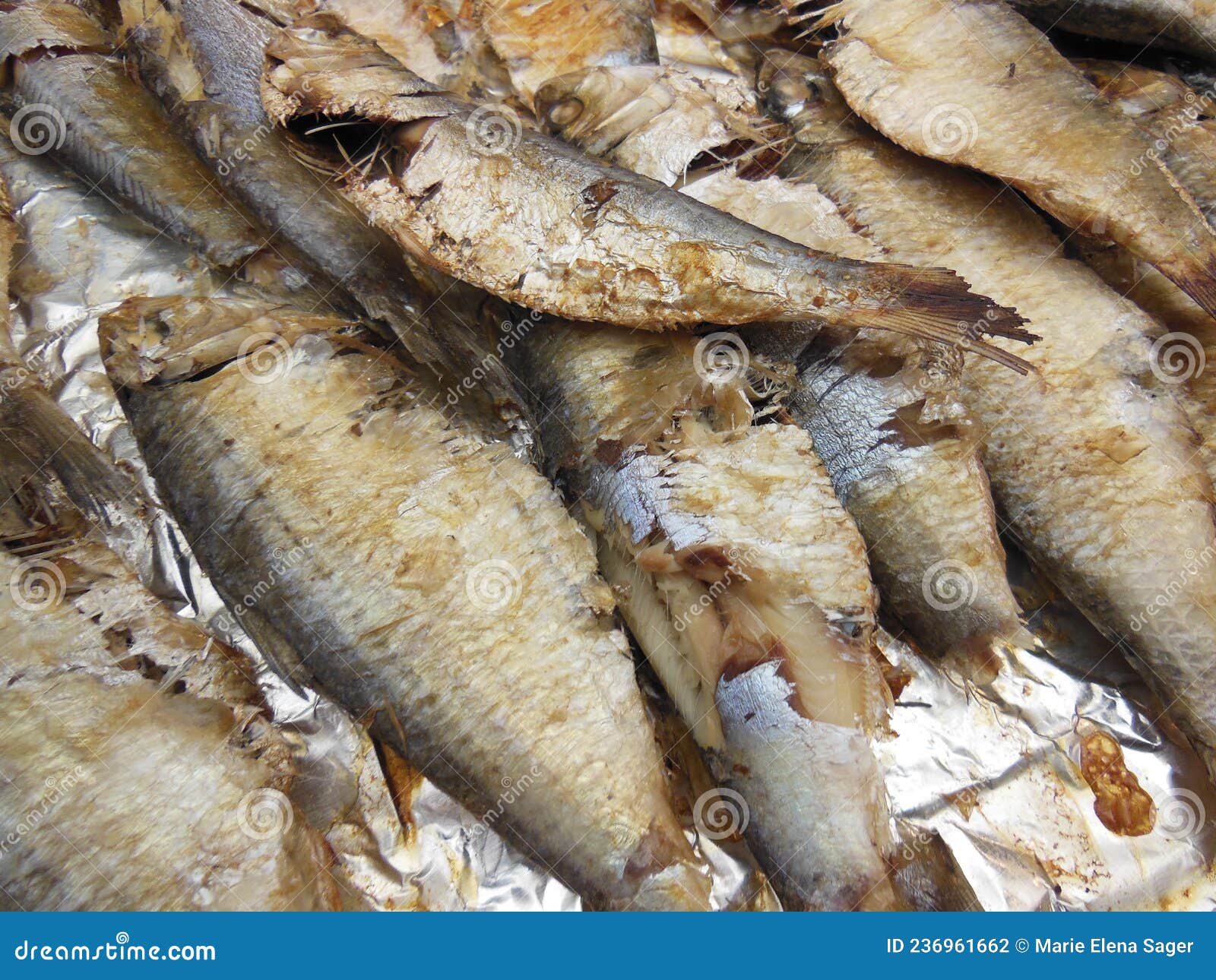 Fish Ready to Cook stock photo. Image of fresh, healthy - 236961662