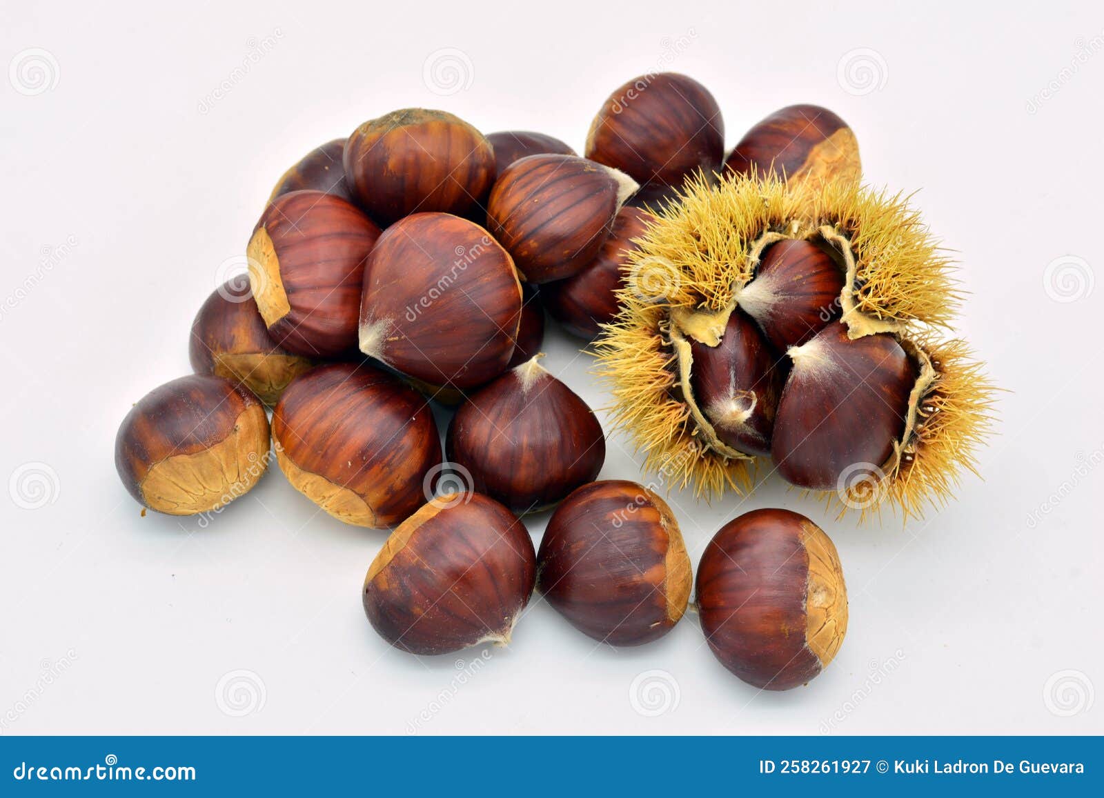 Group of Freshly Picked Chestnuts Stock Image - Image of food, aislado ...