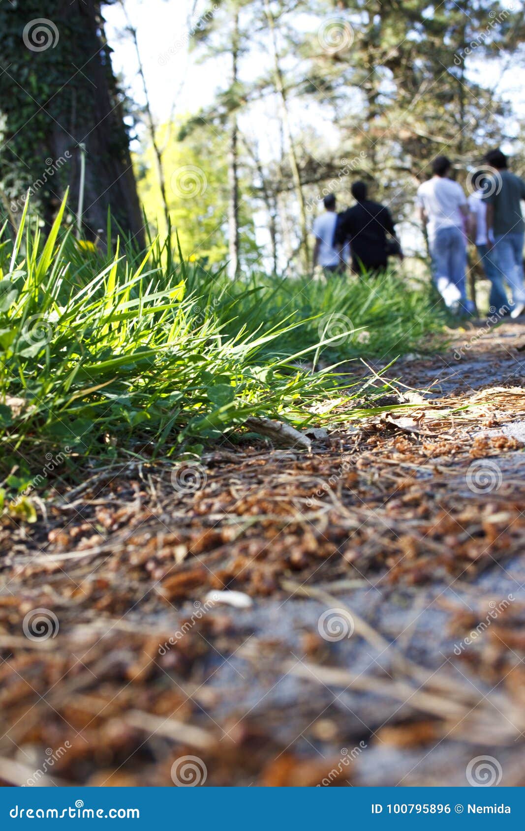 Group of friends stock photo. Image of friends, spring - 100795896
