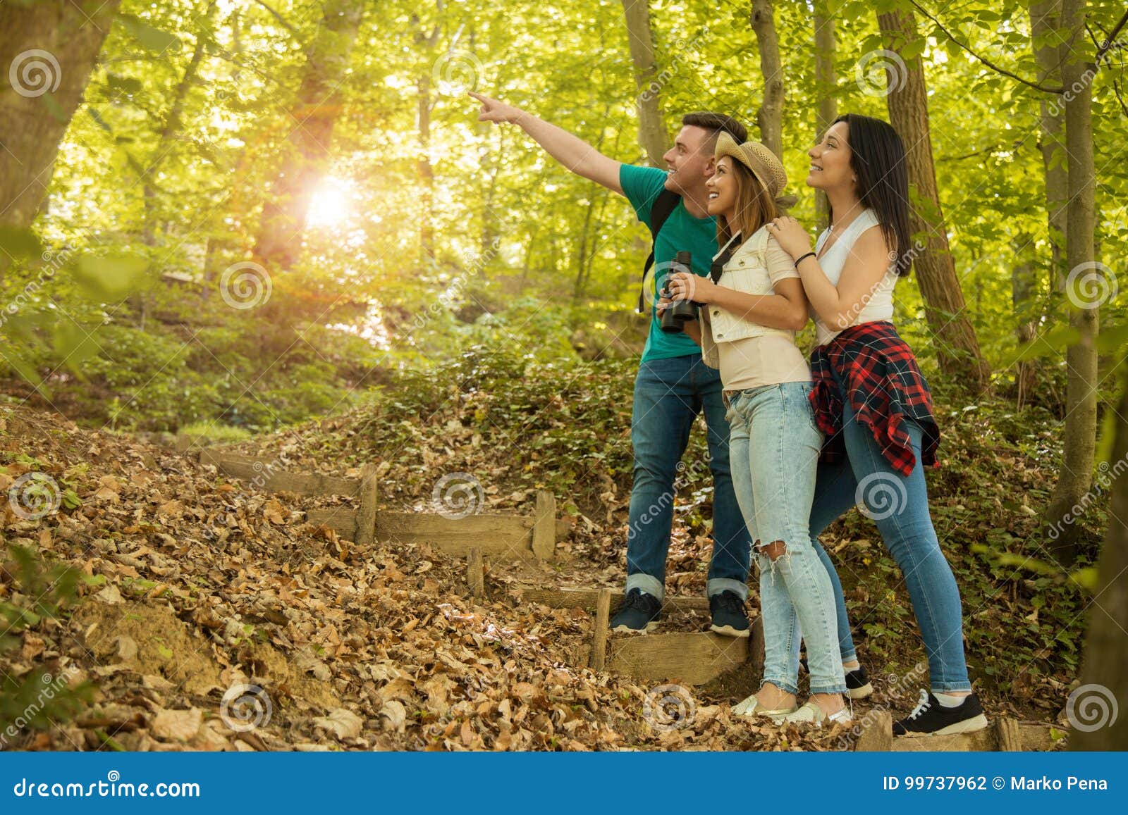 Group of Friends Hiking through the Forest Stock Photo - Image of ...