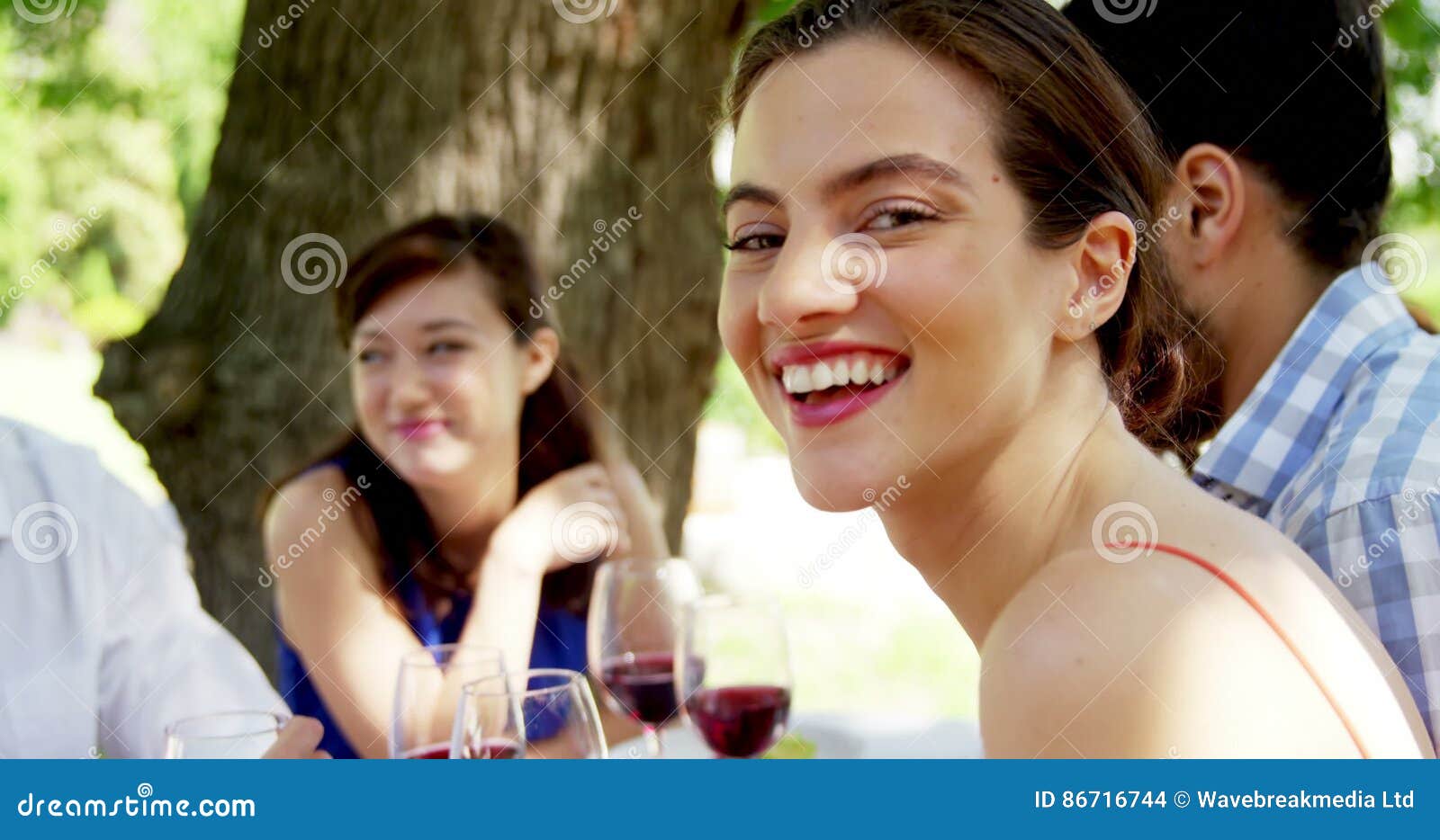 Group of Friends Interacting with Each Other while Having Lunch Stock ...