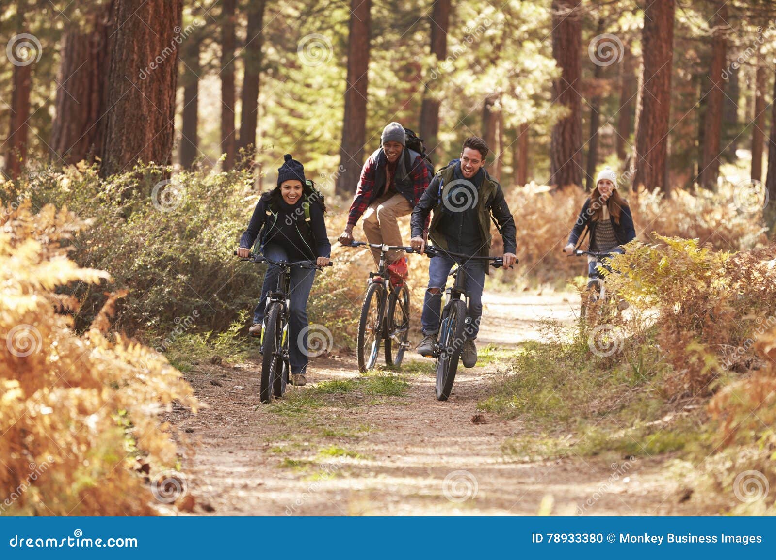 Group of Friends Riding Bikes on a Forest Path, Front View Stock Photo ...