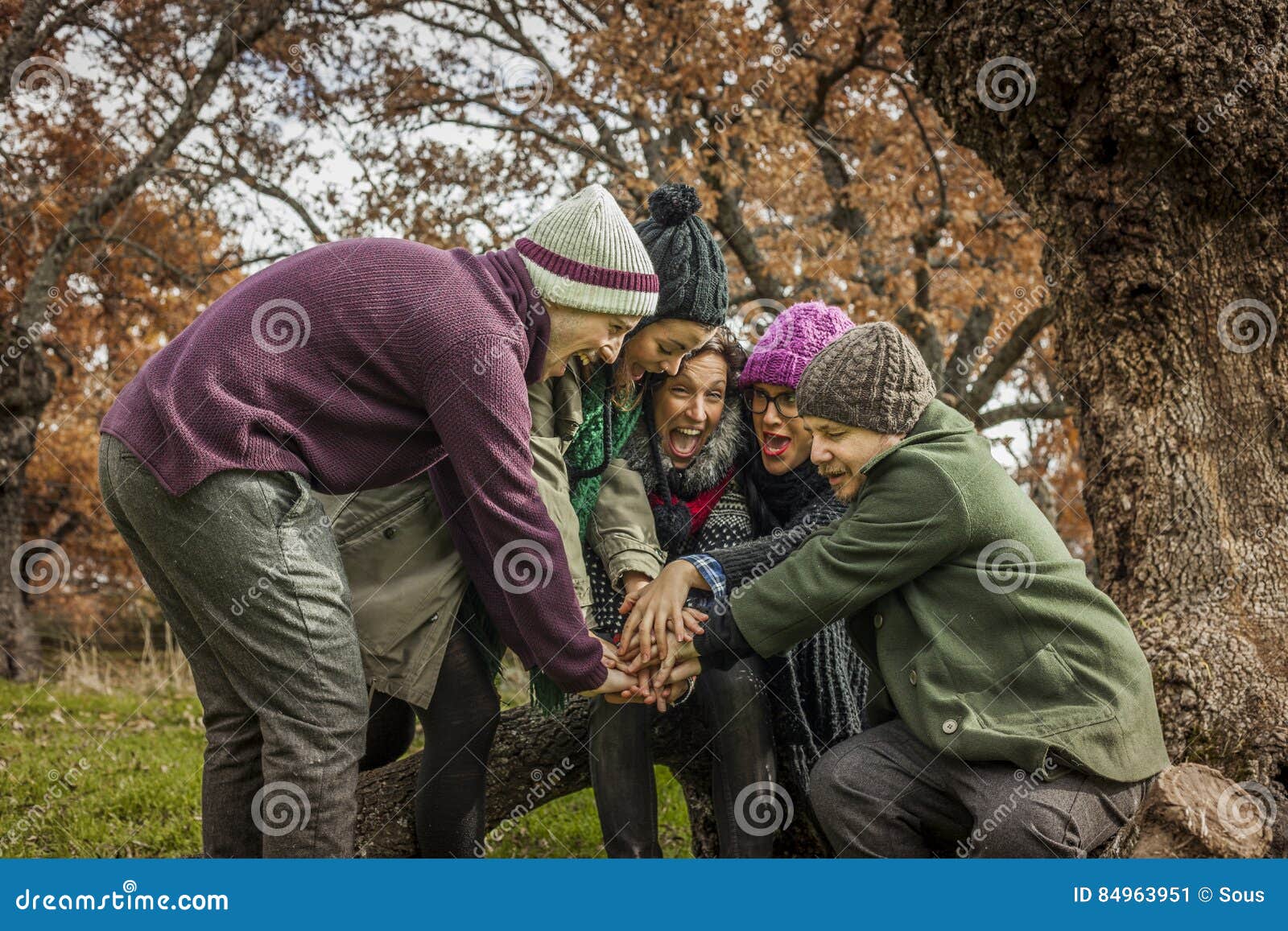 Group of Friends Sit on a Trunk of a Tree Doing a Pile of Hands. Stock ...