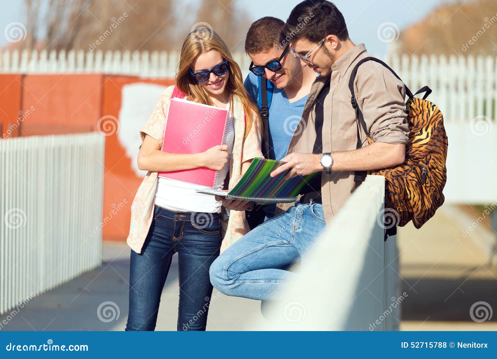 A Group of Friends Talking in the Street after Class. Stock Photo ...