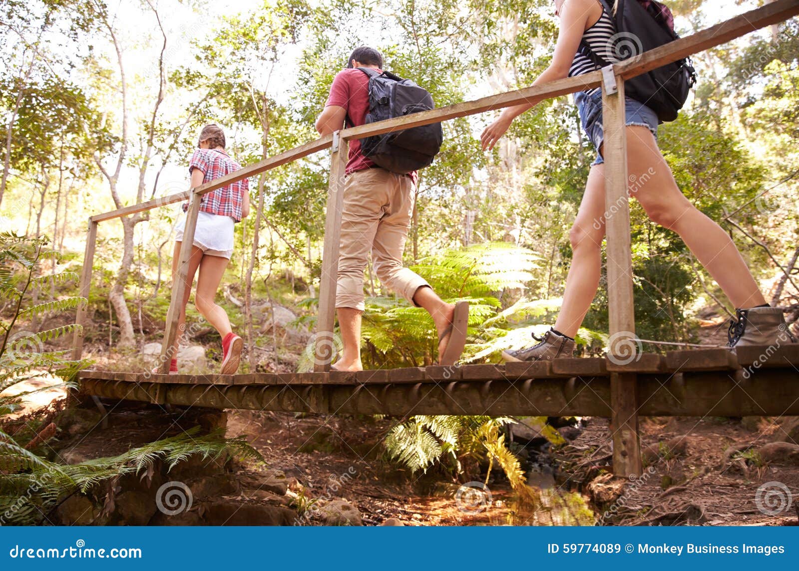 Group of Friends on Walk Crossing Wooden Bridge in Forest Stock Image ...