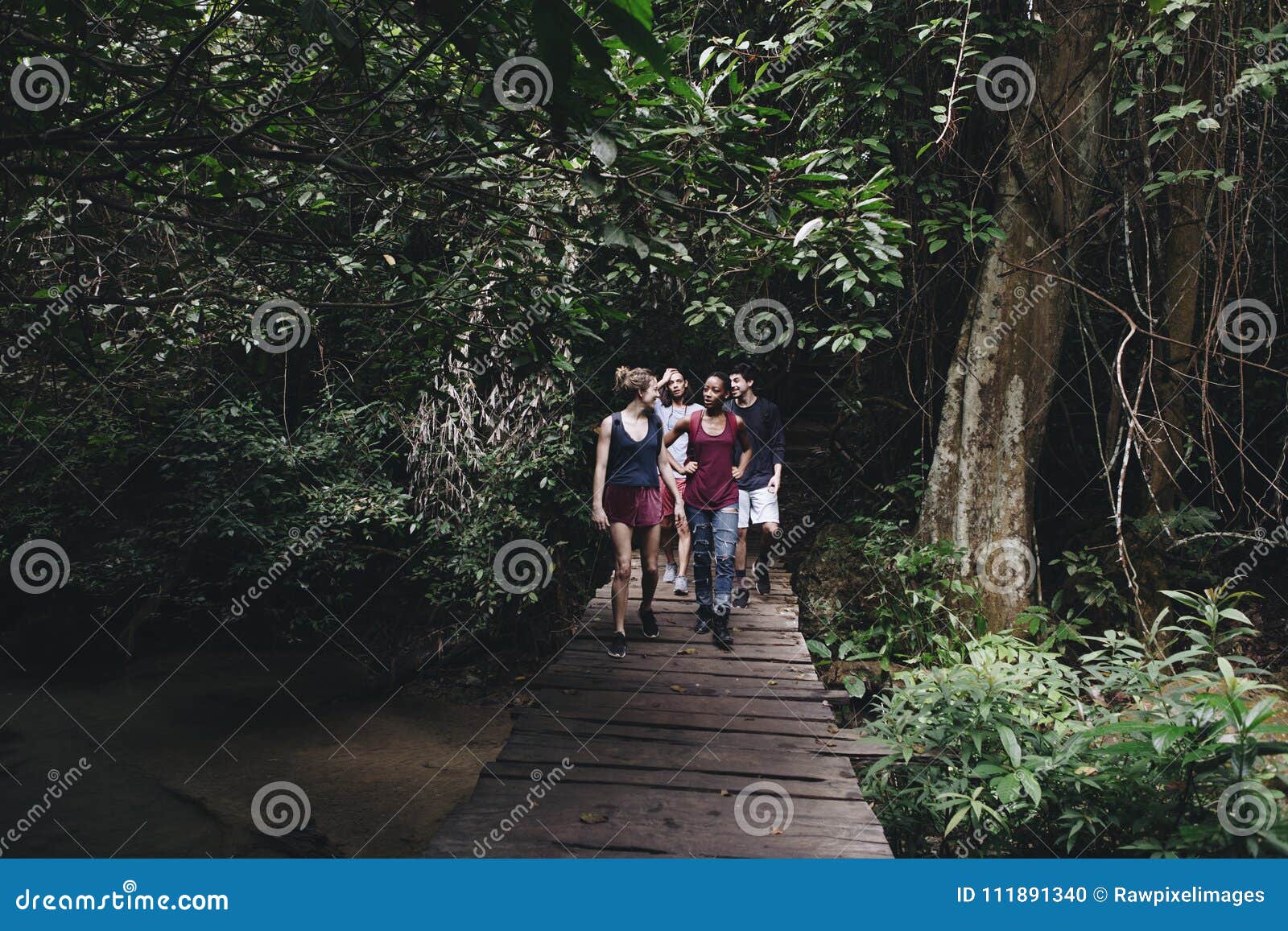 Group of Friends Walking through a Forest Stock Photo - Image of jungle ...
