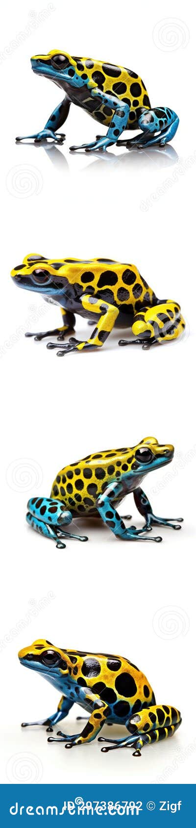 Group of Frogs in Different Colors and Patterns Stock Illustration ...