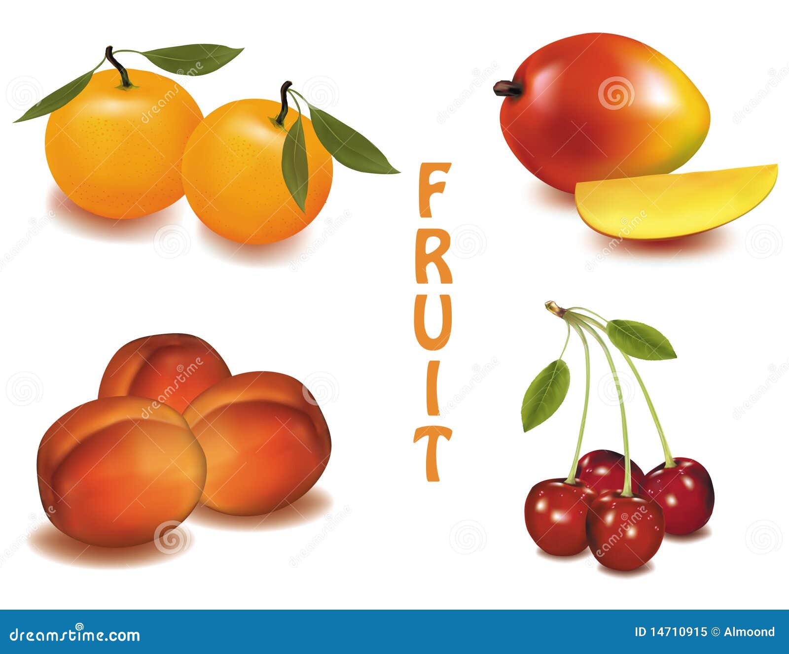 A group of fruit. stock vector. Illustration of tropical - 14710915