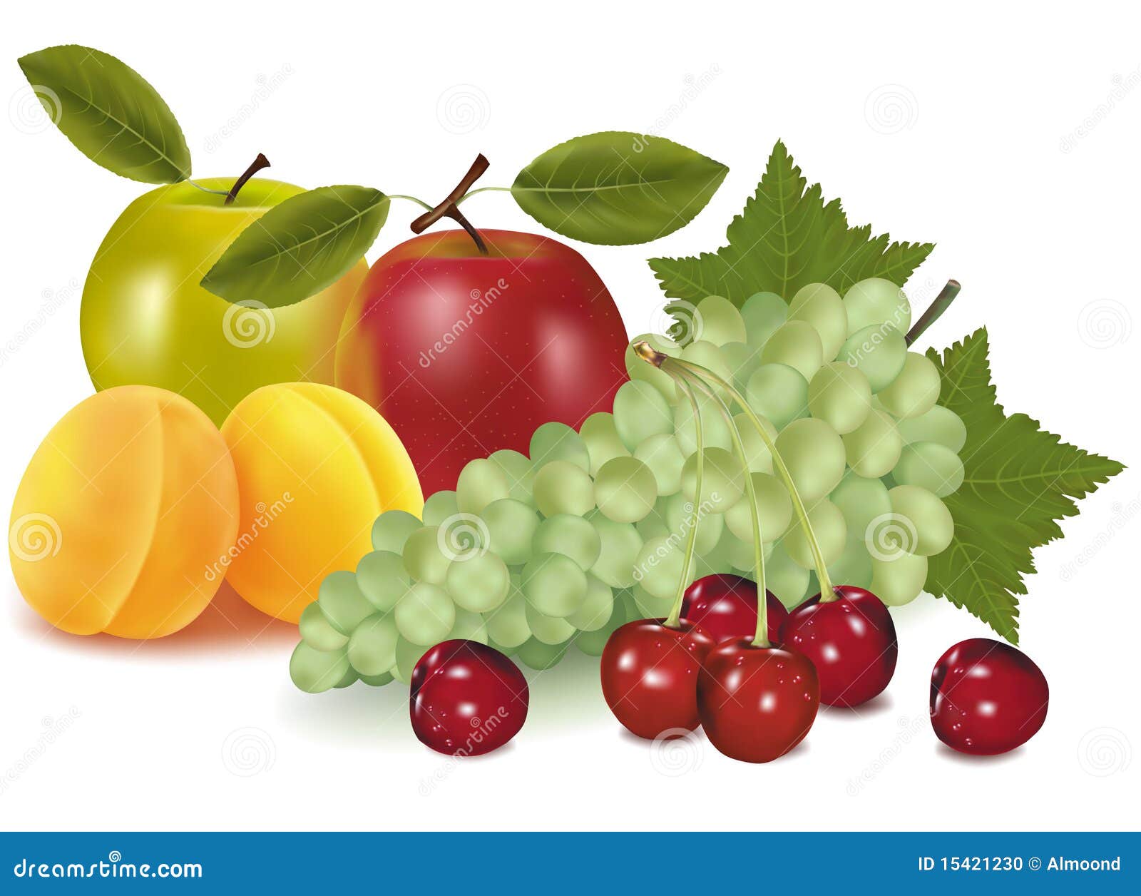 A group of fruit. stock vector. Illustration of mineral - 15421230