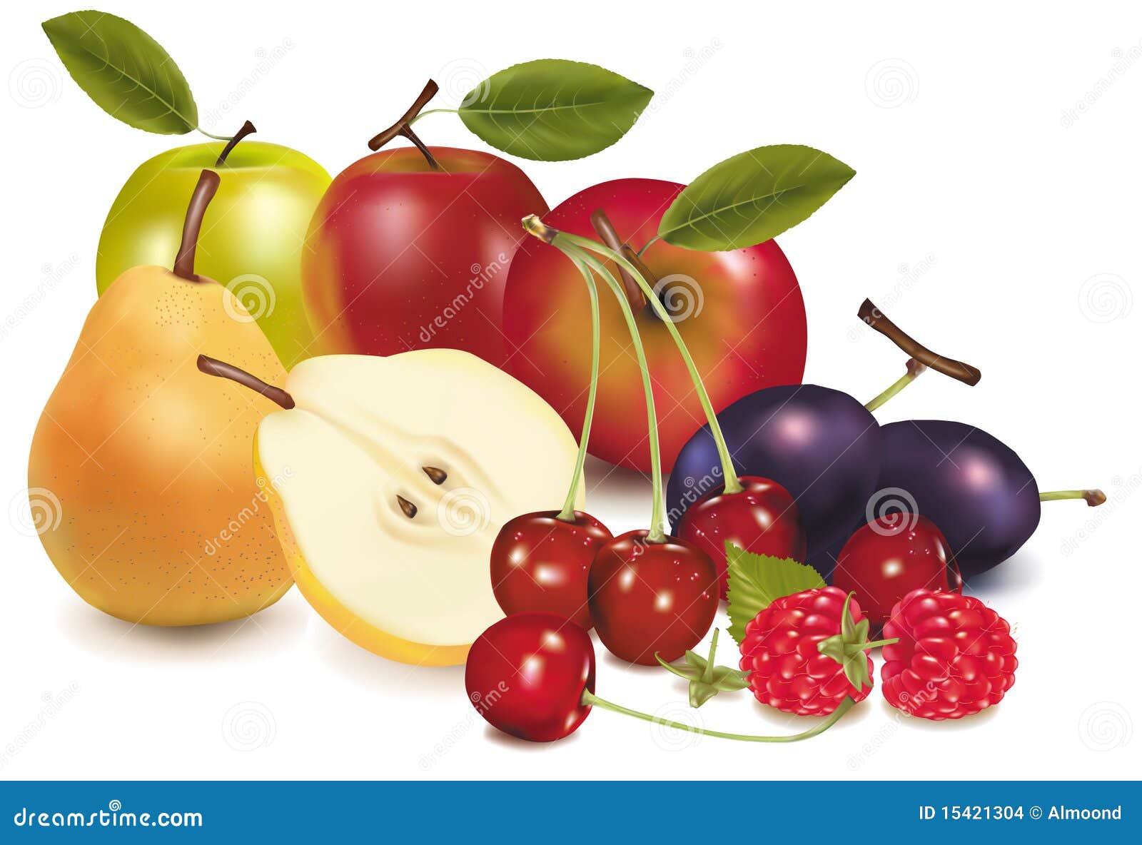 Group of fruit. stock vector. Illustration of isolated - 15421304