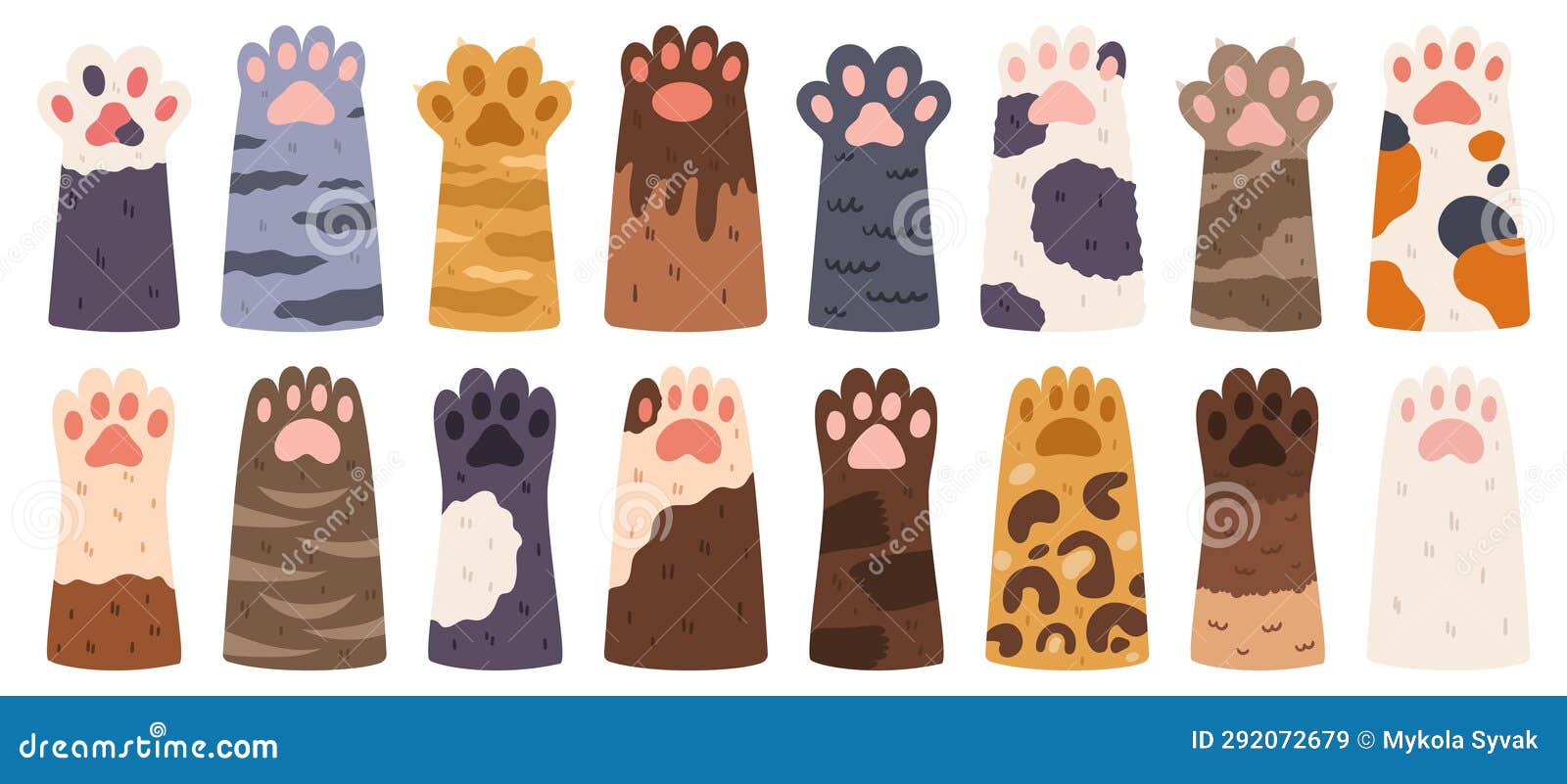 Group of Funny Mixed Breed Cat Paws in Row Isolated on White Background ...