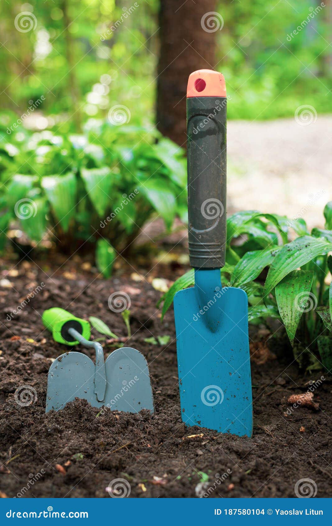 Group of Gardening Tools Laying in the Soil Stock Photo - Image of ...