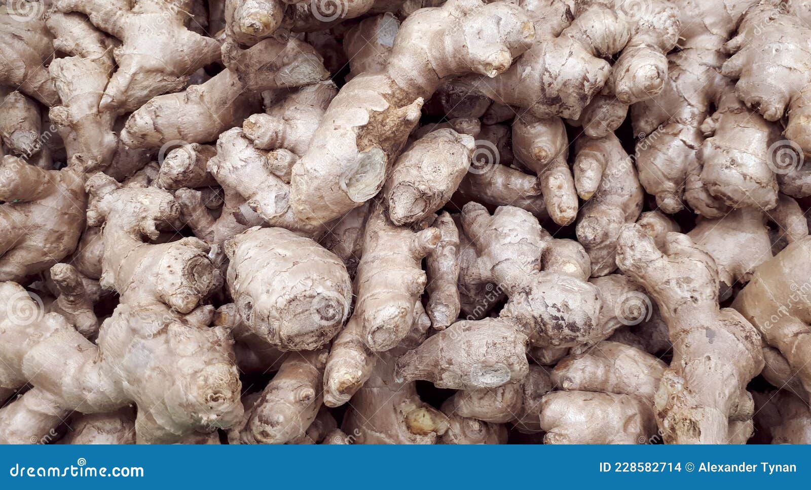 Group of Gingers. Heap of Ginger Root Stock Photo - Image of benefit ...