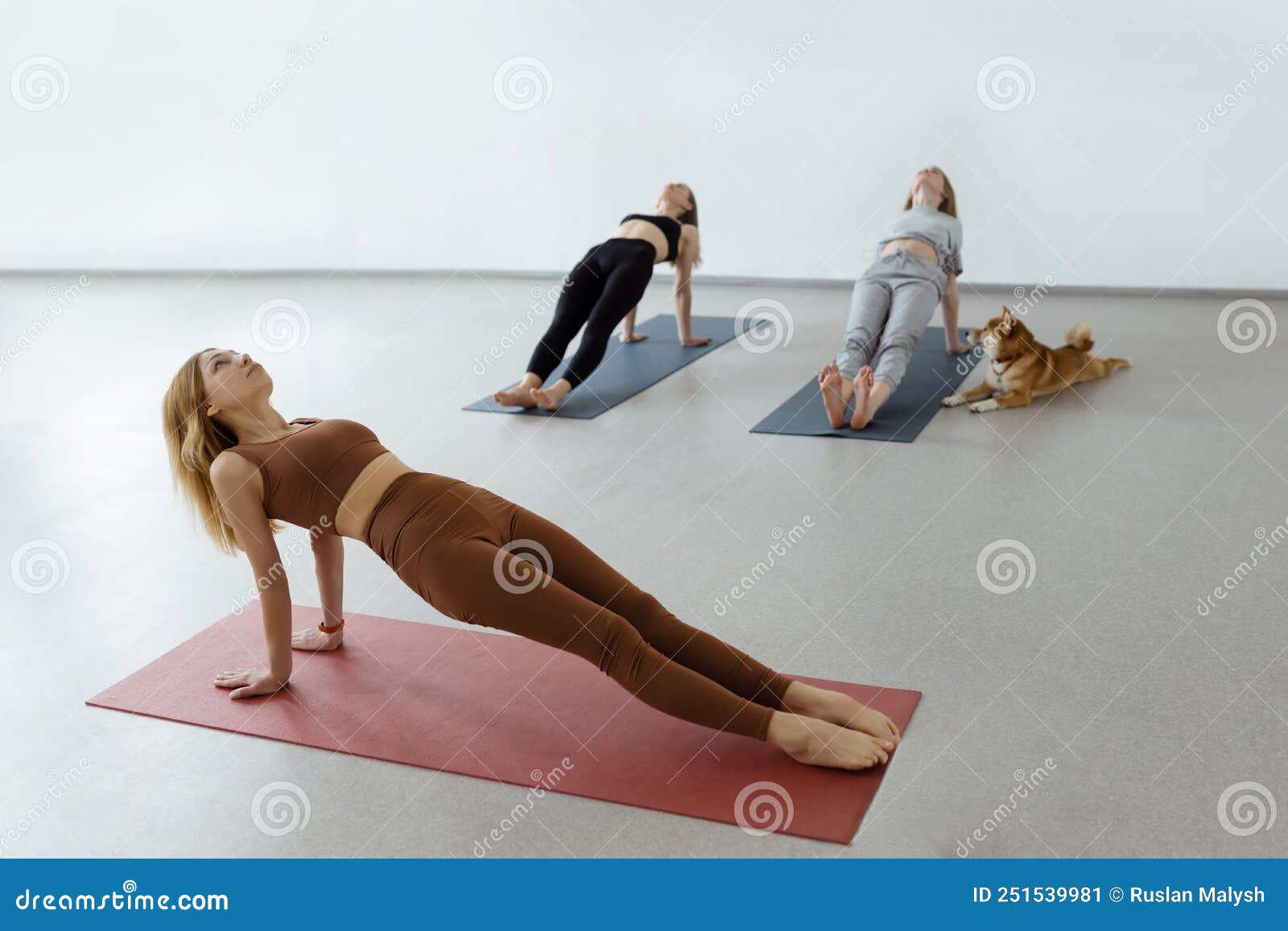A Group of Girls Practice Yoga Asanas in the Studio.Group Yoga Classes ...