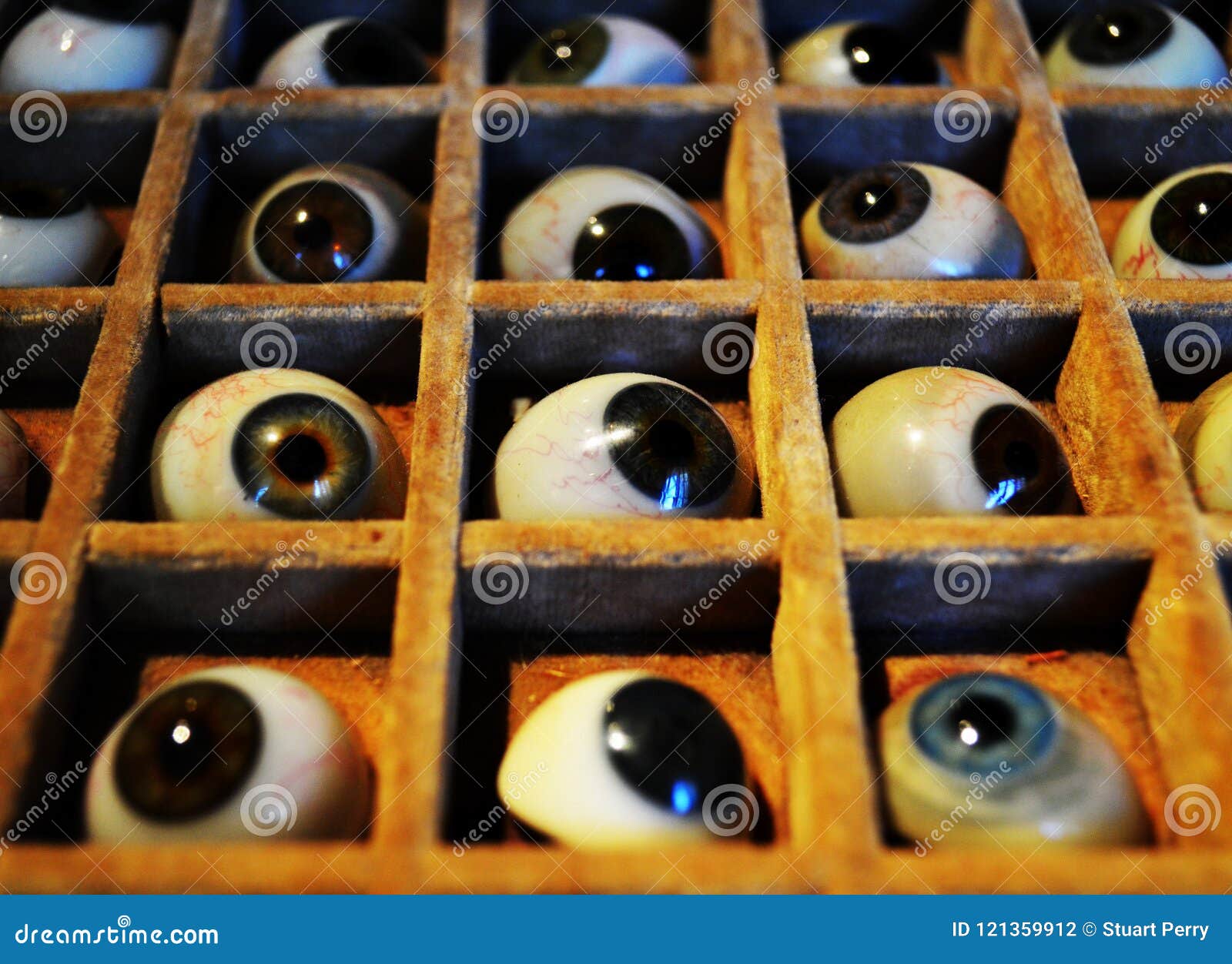 Glass eyeballs stock photo. Image of faux, display, view - 121359912