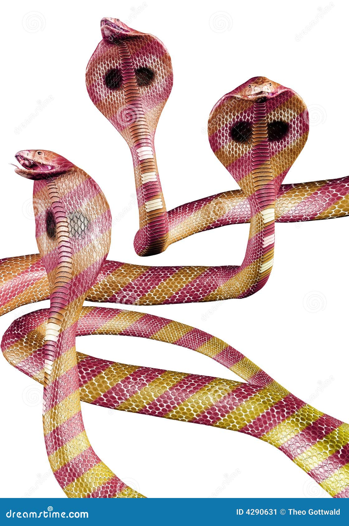 Cute Mamba Stock Illustrations – 323 Cute Mamba Stock Illustrations ...