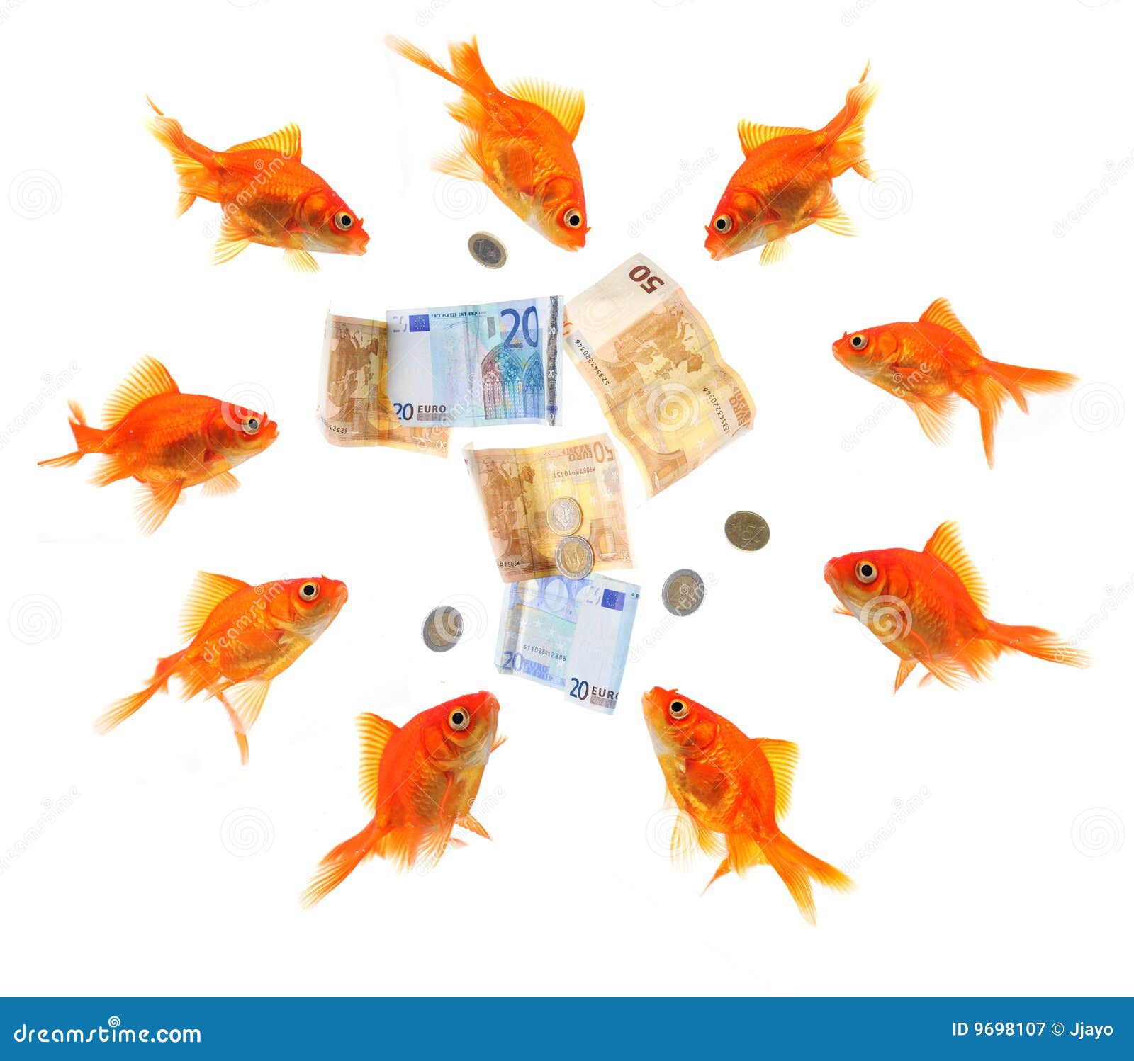 Group of Goldfish Surrounding Money Stock Image - Image of dividends ...