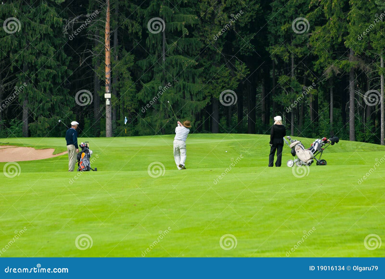 Group Of Golfers Practicing And Training Golf Swing On Driving Range ...