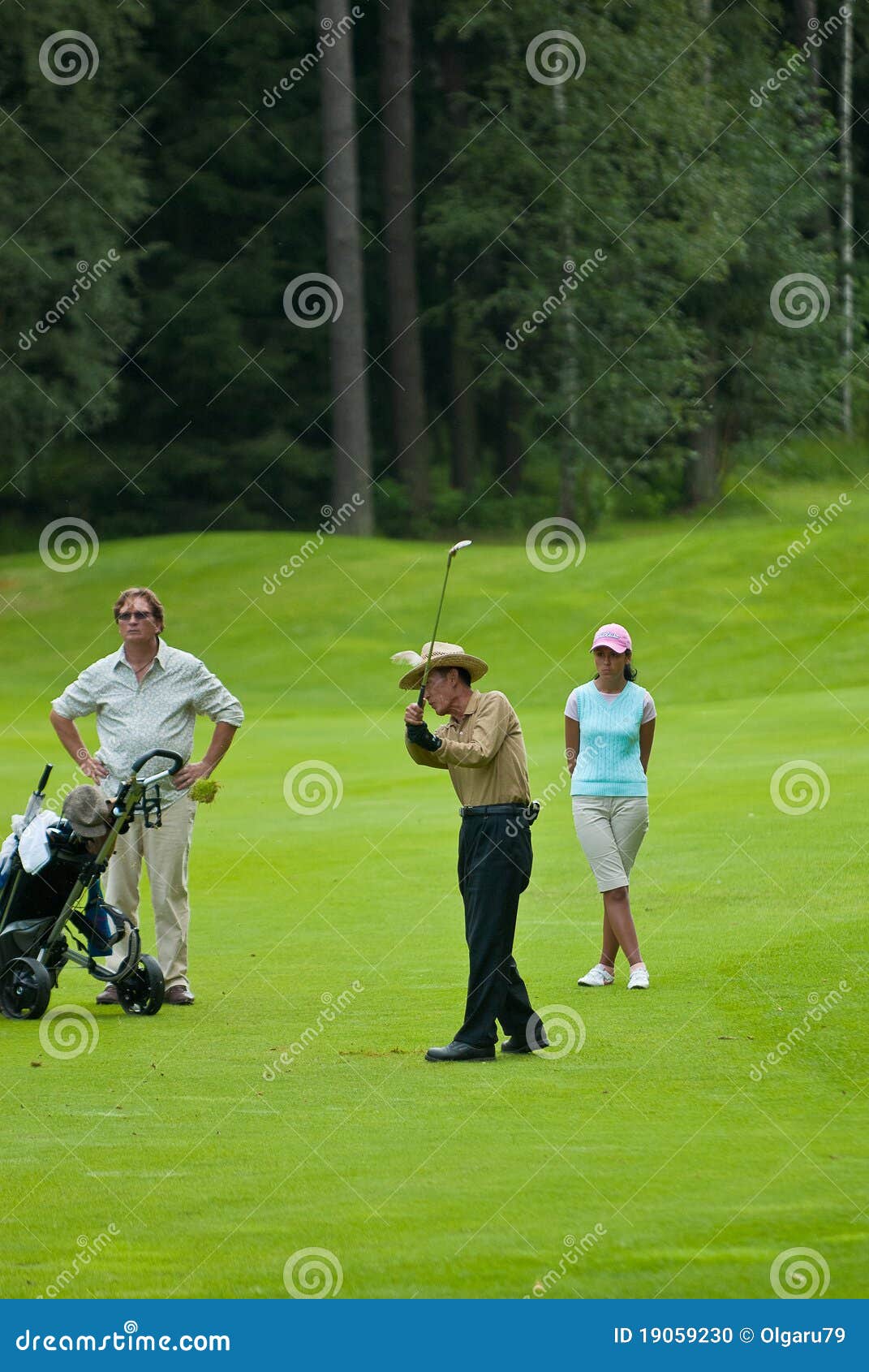 Group Of Golfers Practicing And Training Golf Swing On Driving Range ...