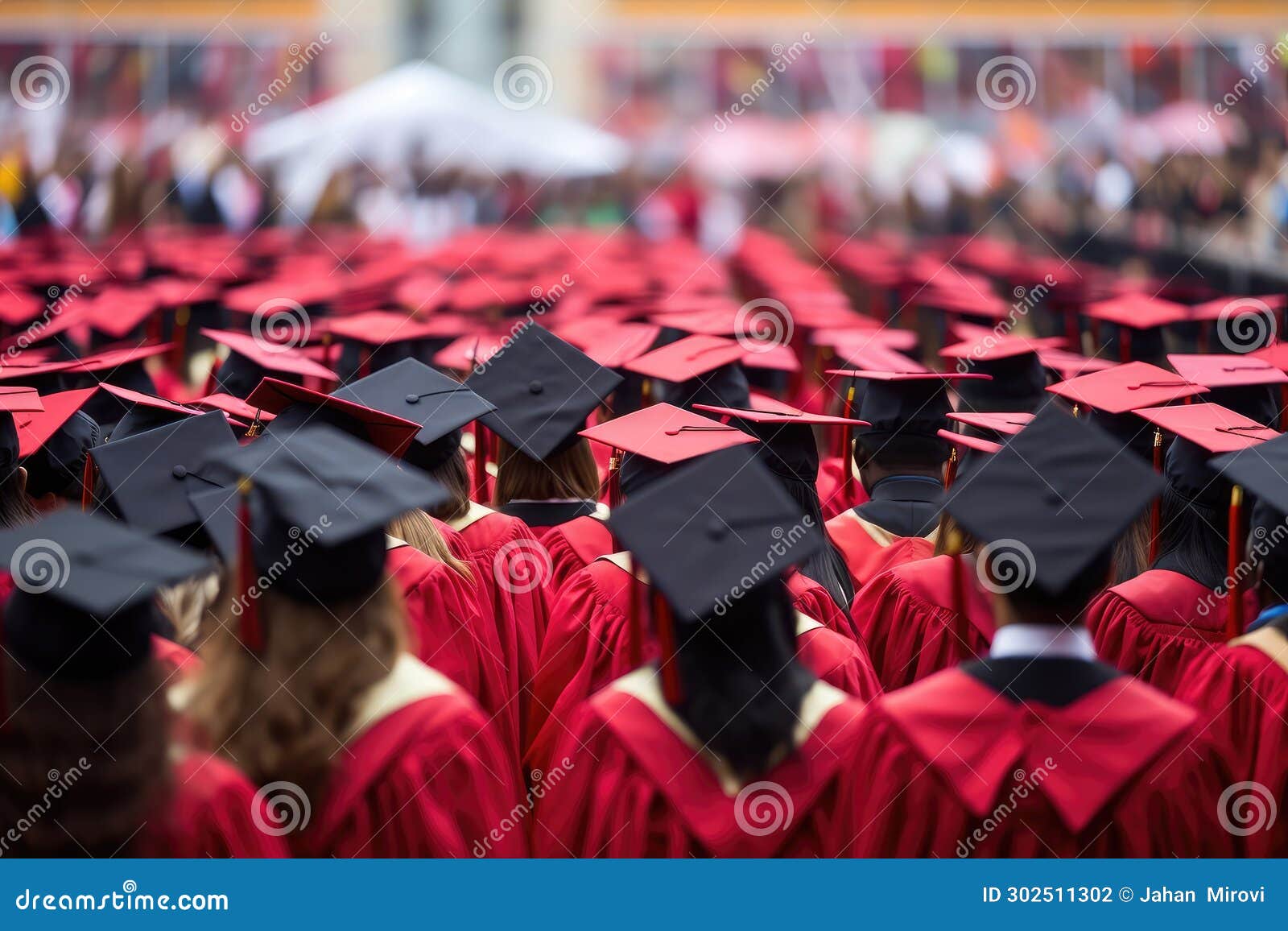 Group of Graduates in Cap and Gowns Standing in Line in a Row ...
