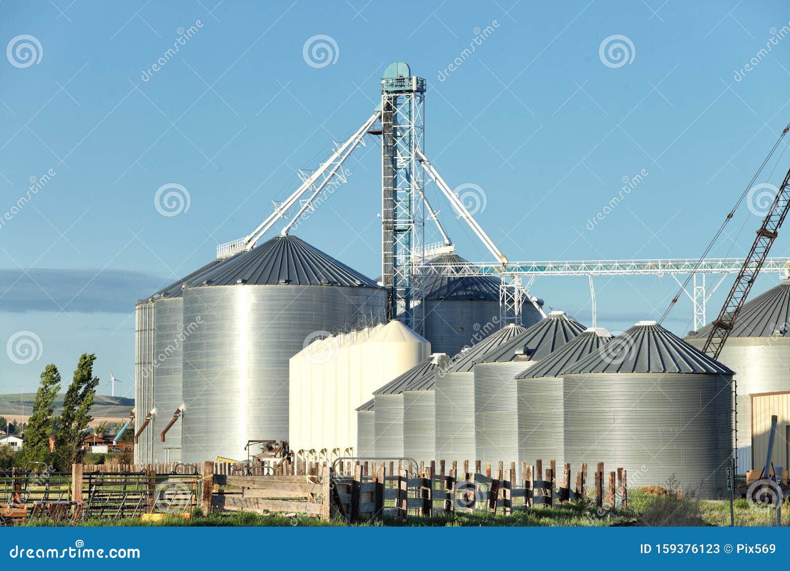 Storing Grain in a Group of Corrugated Steel Granaries. Stock Image ...