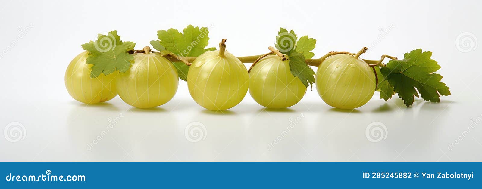 A Group of Grapes with Leaves on a White Background Stock Illustration ...