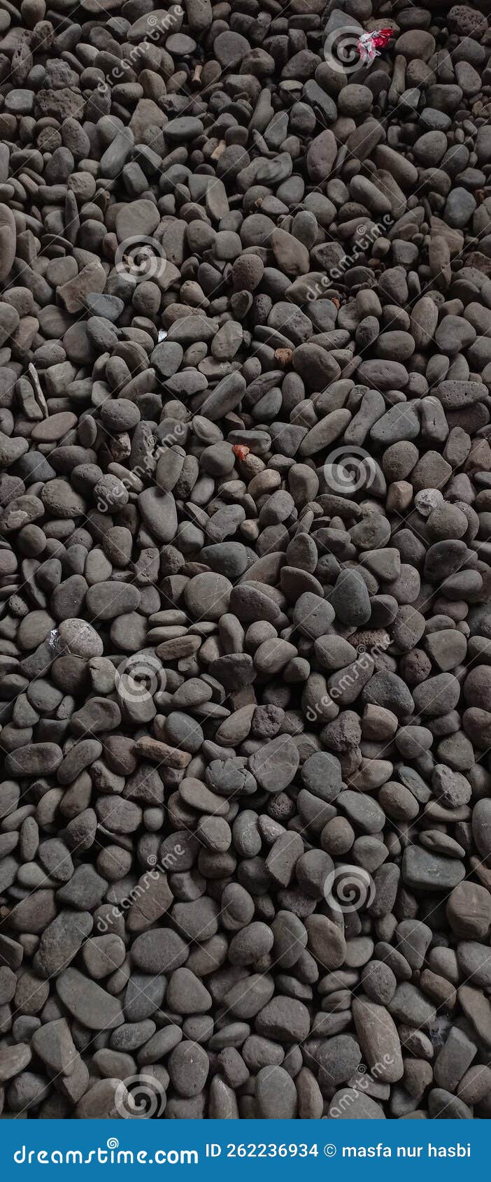 A Group of Gray River Stones in the Yard Stock Photo - Image of group ...