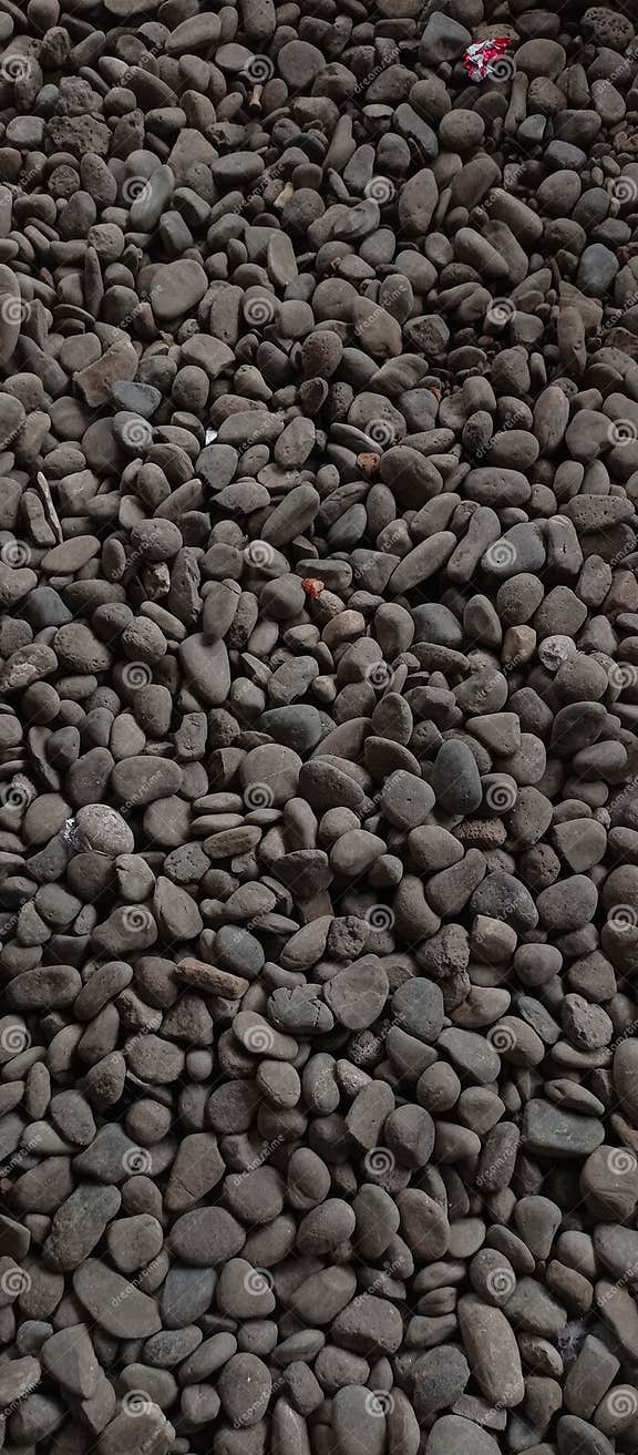 A Group of Gray River Stones in the Yard Stock Photo - Image of group ...