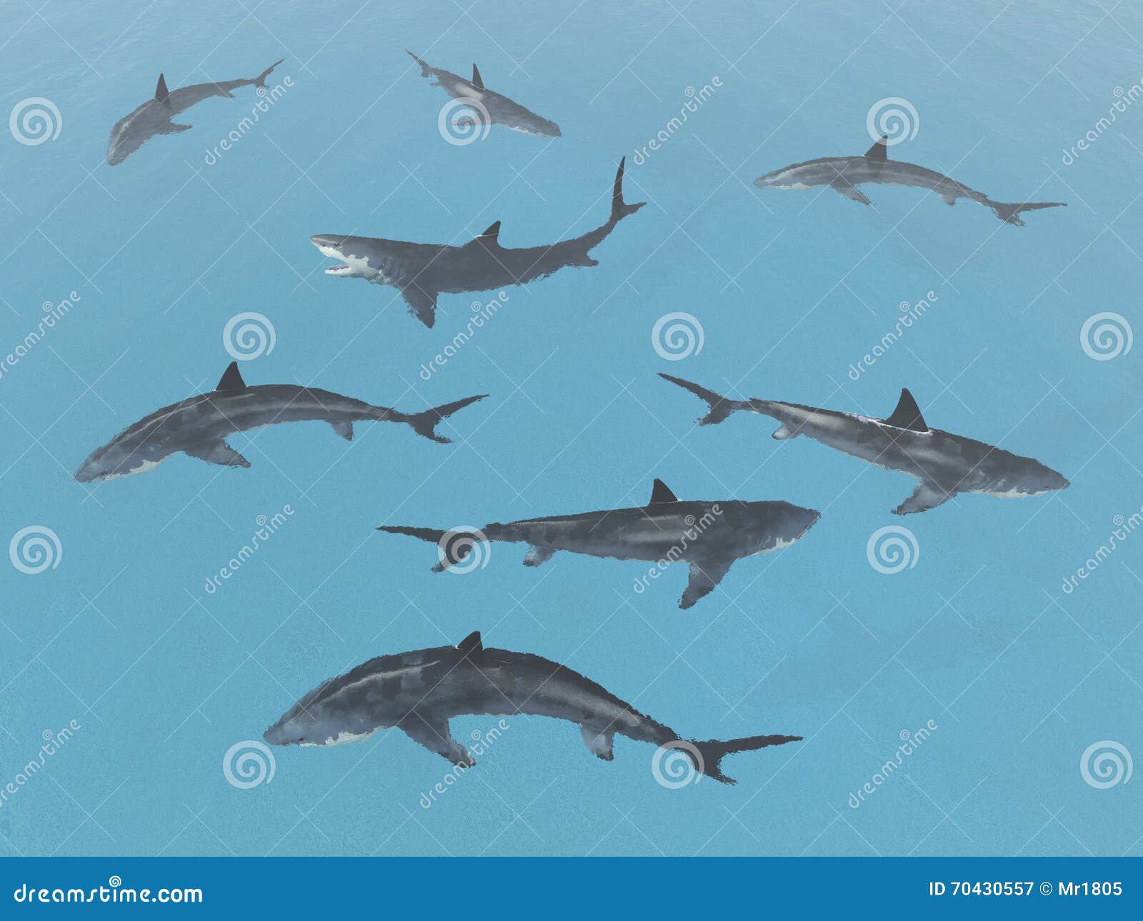 Group of Great White Sharks Stock Illustration - Illustration of threat ...