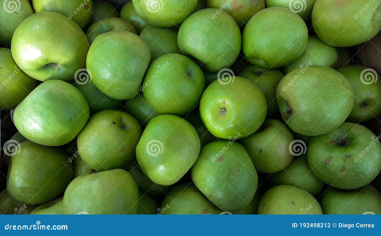 Group of Green Apples in a Fruit Box Stock Photo - Image of health ...
