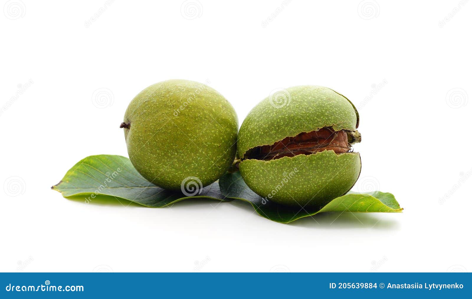 Group of green nuts stock photo. Image of grain, agriculture - 205639884