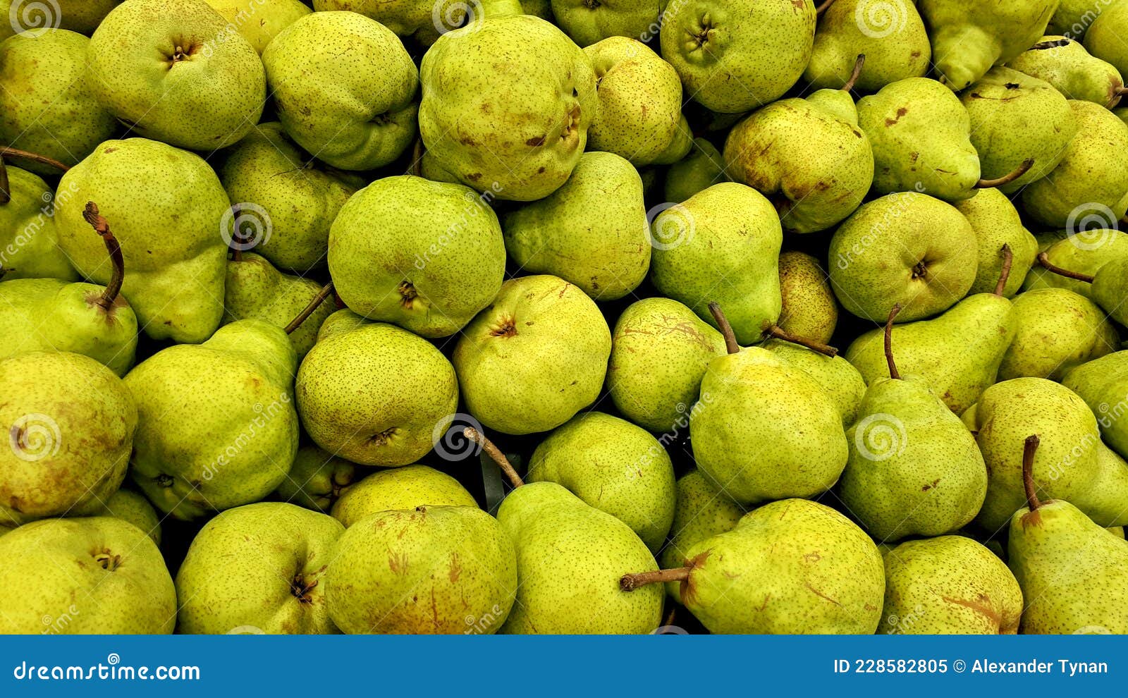 Group of Green Pears, Close-up Green Pears Texture Stock Image - Image ...