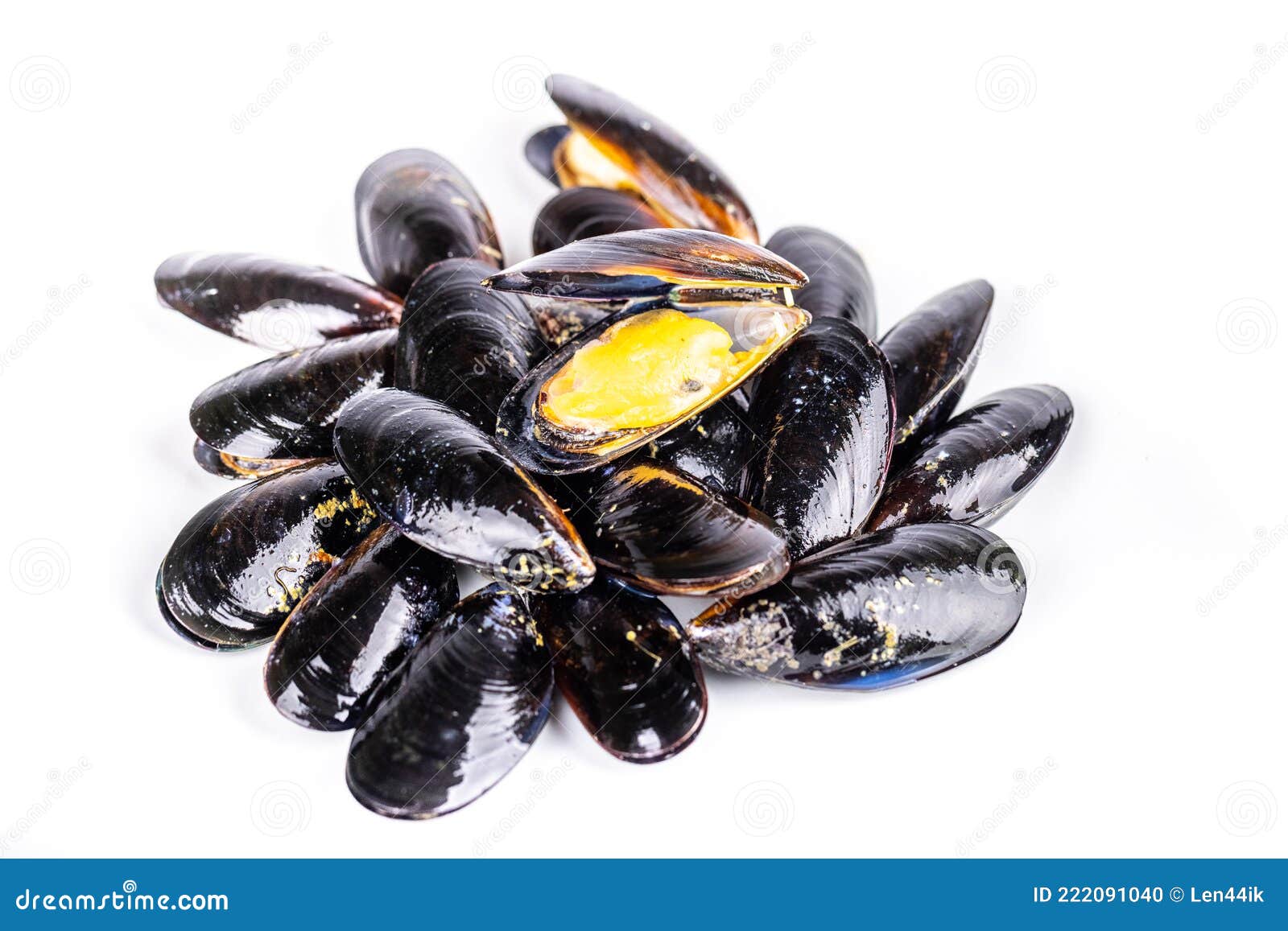 Group of Half-opened Mussels Shell Fishes on White Background Stock ...