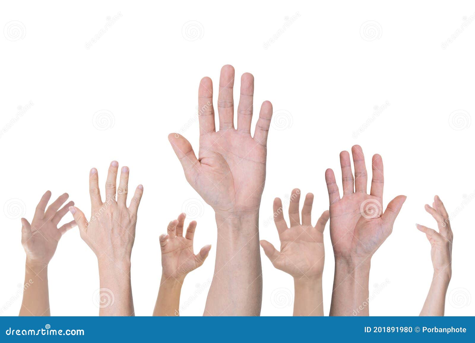 Group of Hands Raised Up, Isolated on White Background Stock Photo ...