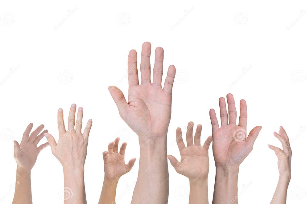 Group of Hands Raised Up, Isolated on White Background Stock Photo ...