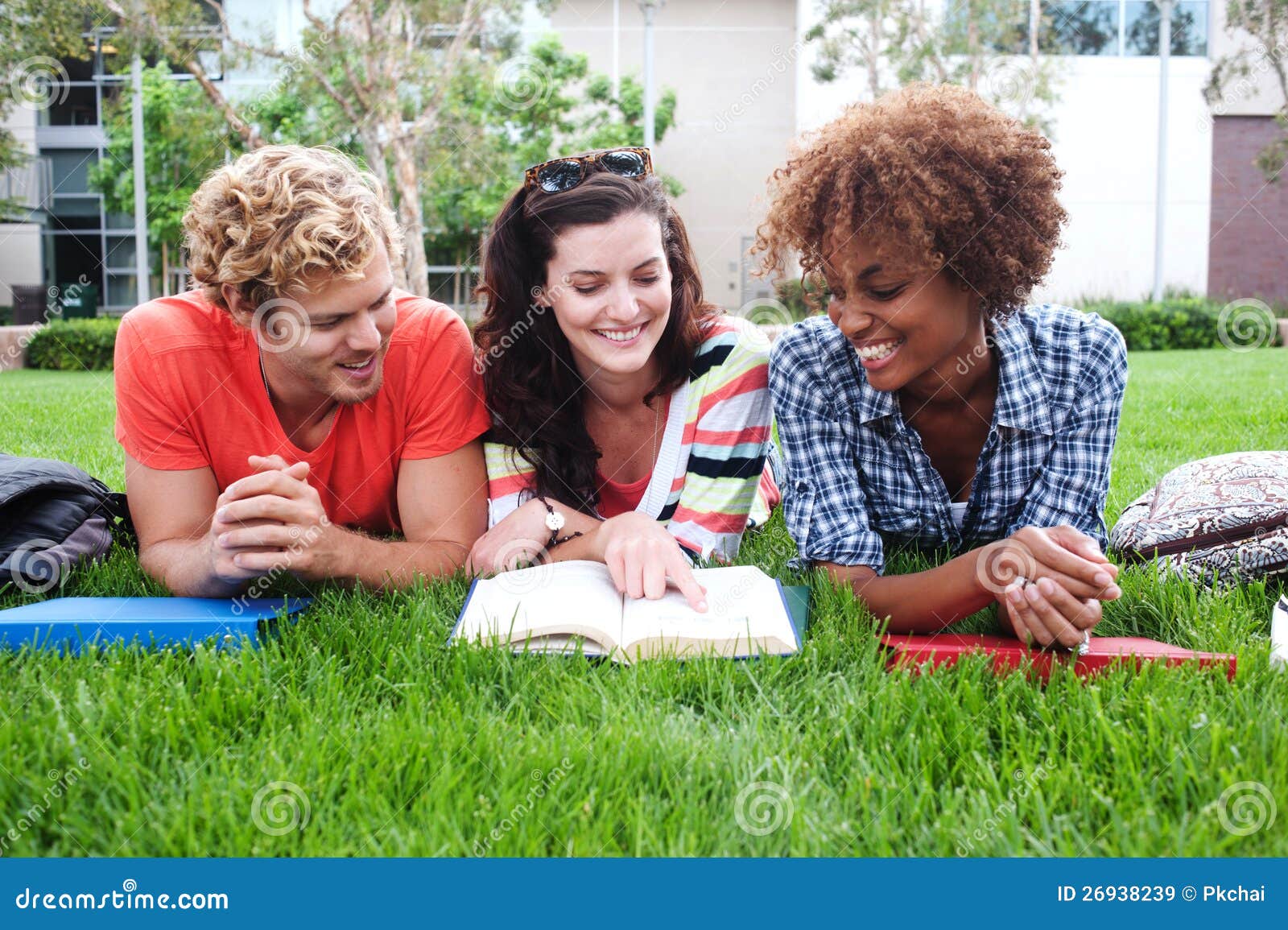 Group of Happy College Students in Grass Stock Image - Image of school ...