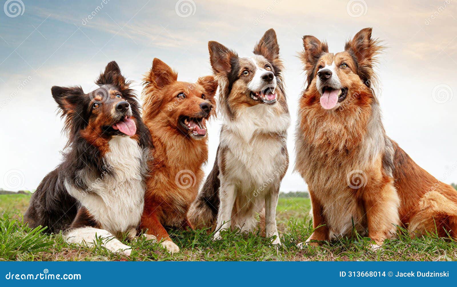 Group of happy dogs stock illustration. Illustration of adorable ...
