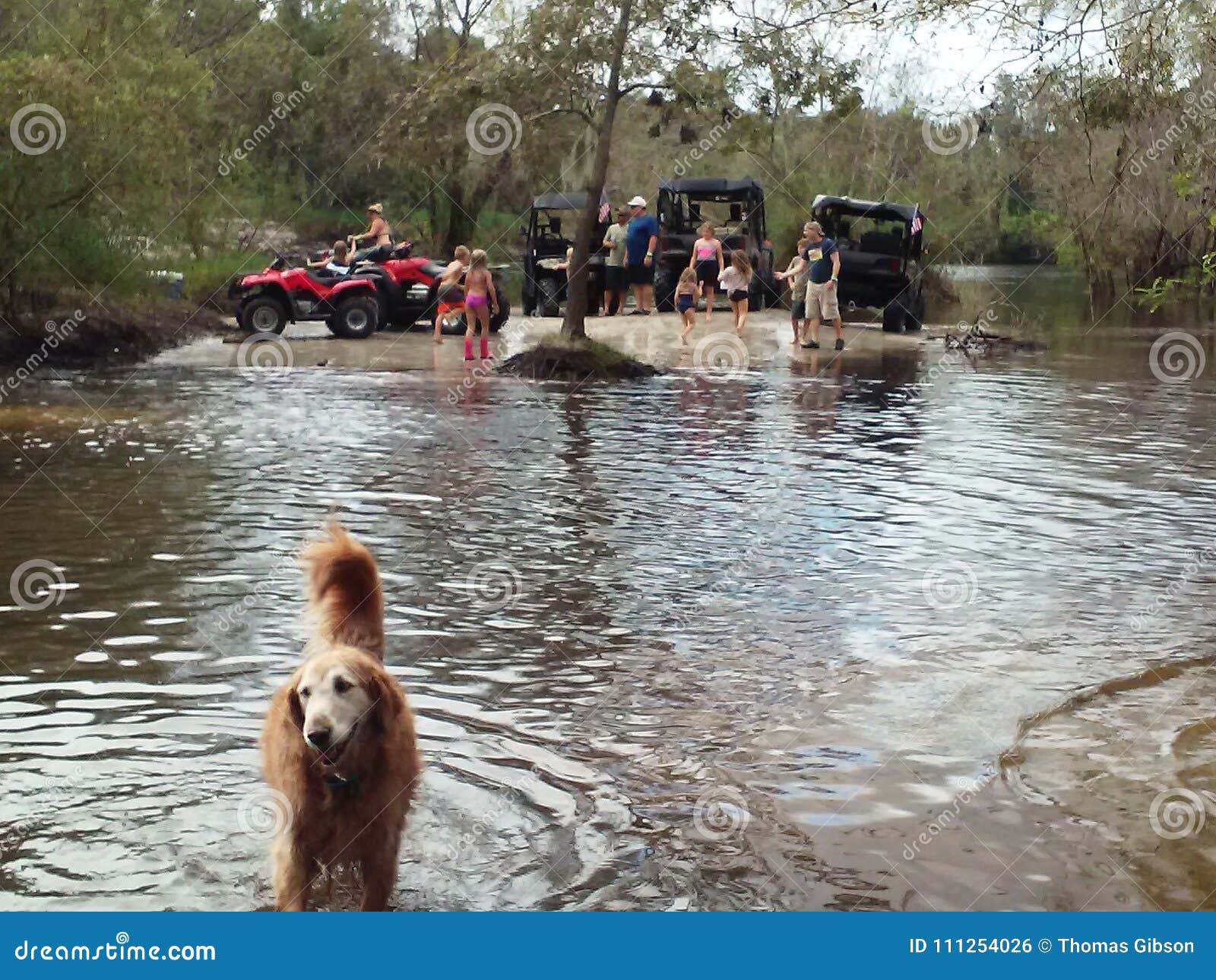 Having fun in the water editorial photo. Image of swamp - 111254026