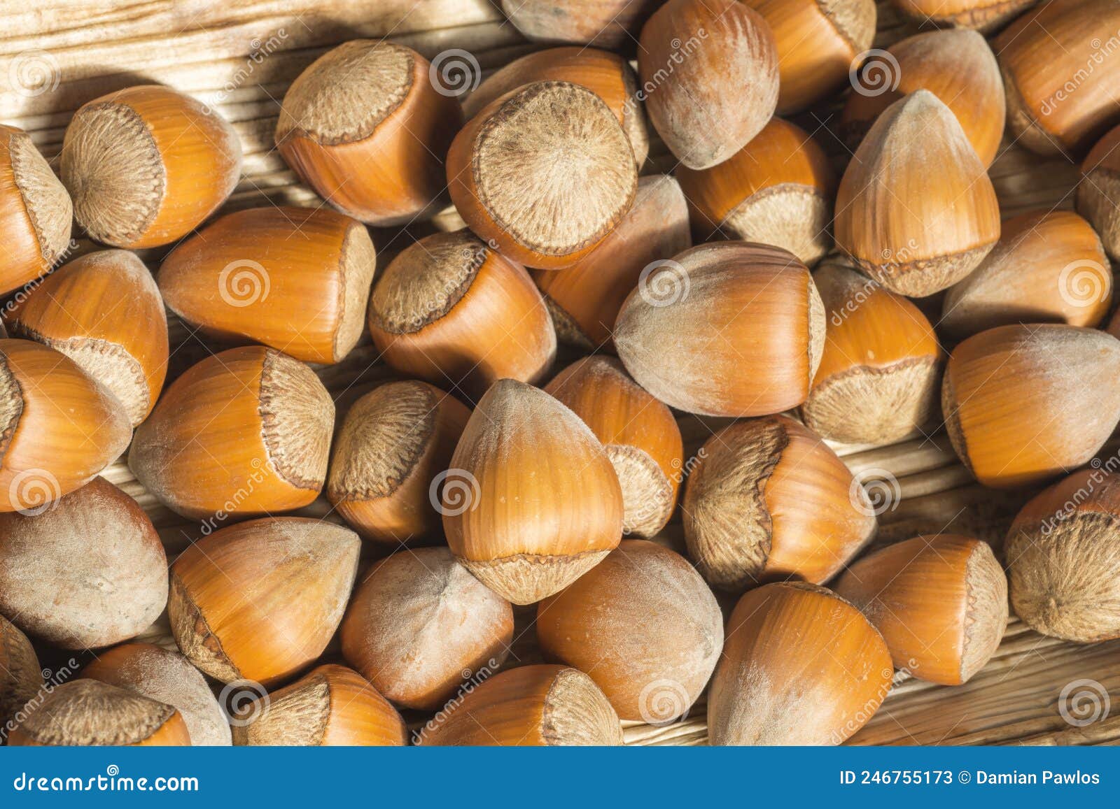 Group of Hazelnuts in the Husks on Pressed Palm Leaf Stock Image ...