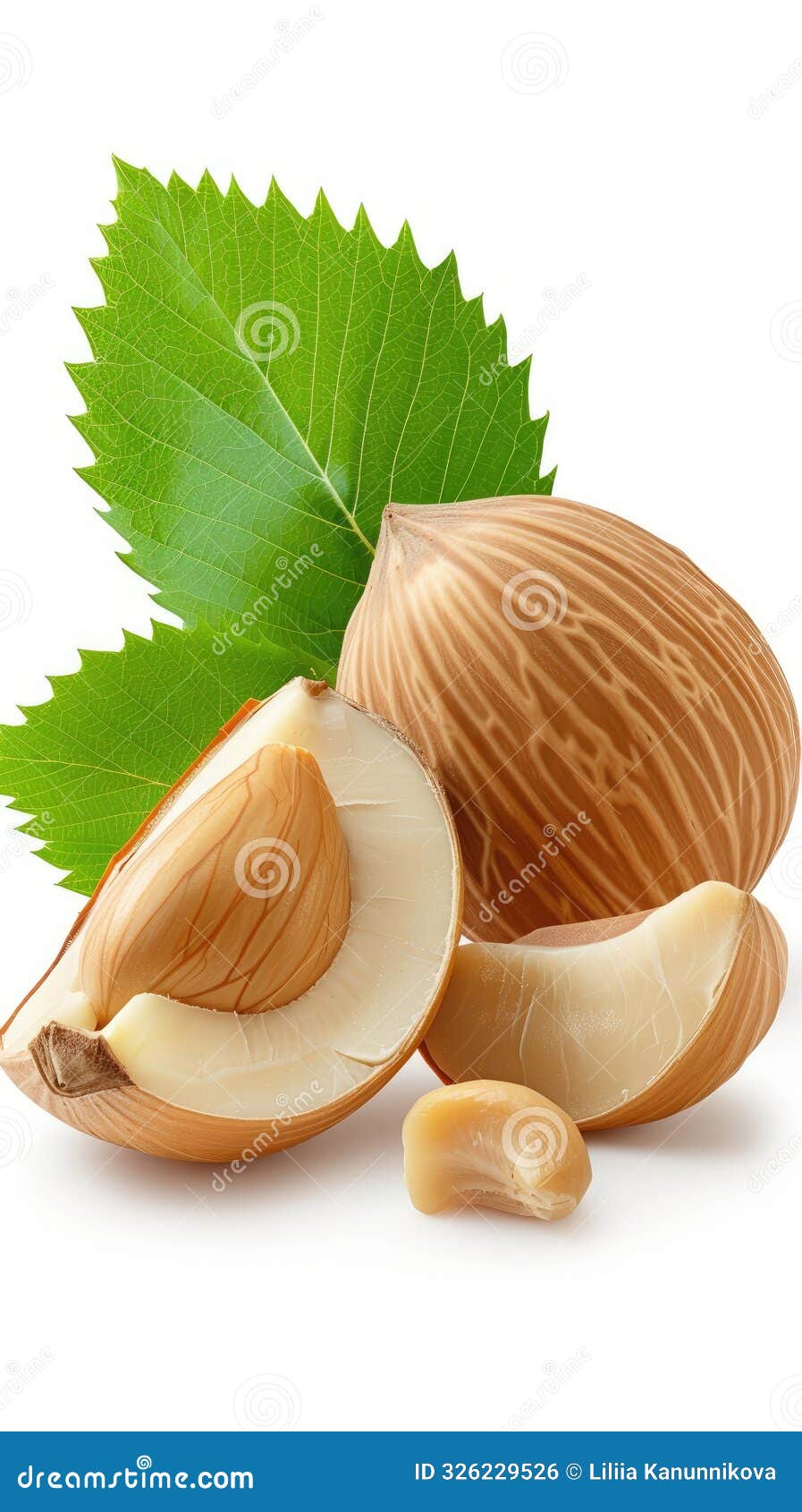 A Group of Hazelnuts, Some Whole and Some Cracked Open, are Displayed ...