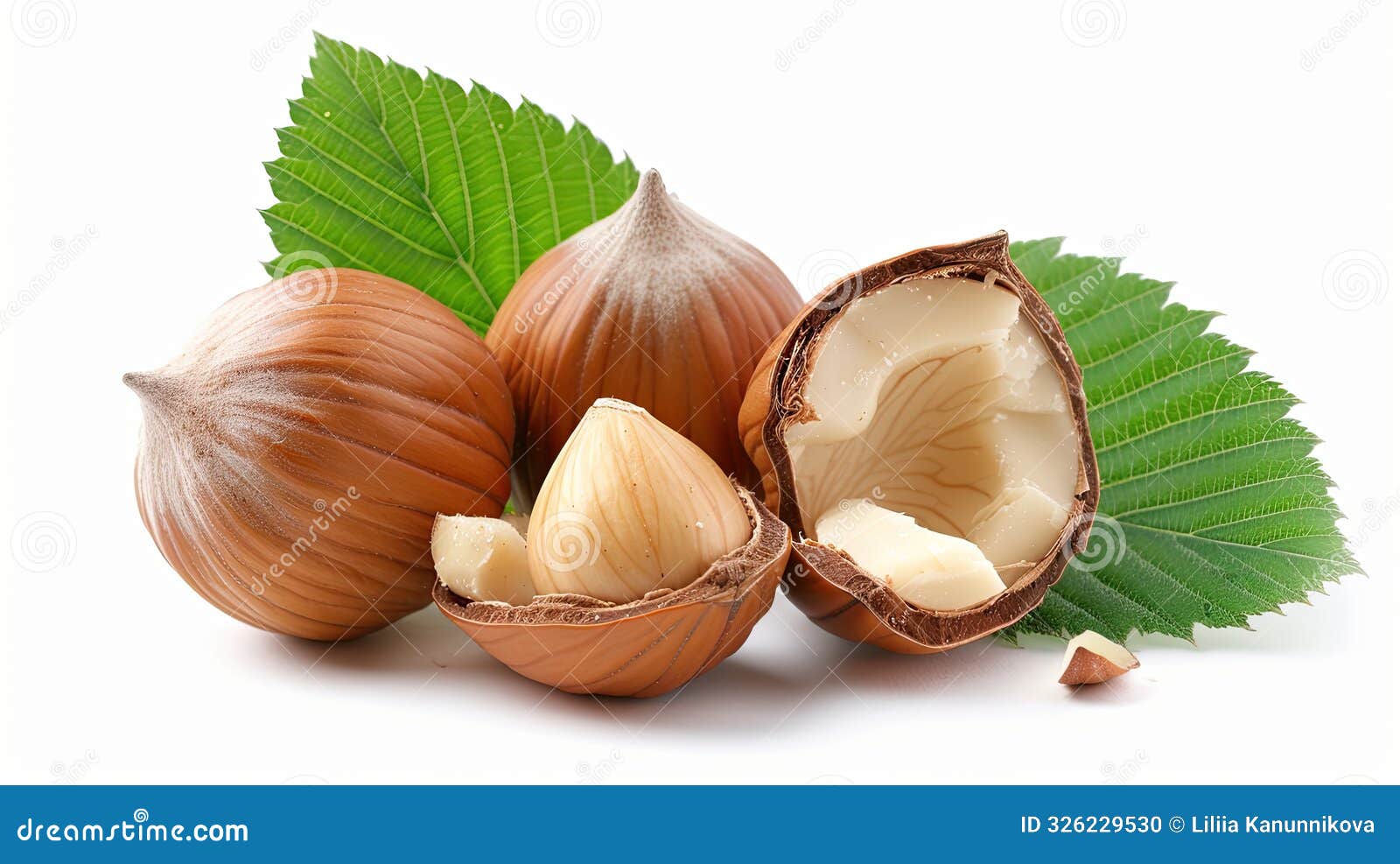 A Group of Hazelnuts, Some Whole and Some Cracked Open, are Displayed ...