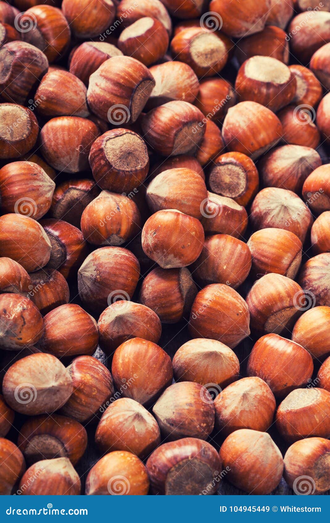Group of hazelnuts texture stock image. Image of organic - 104945449