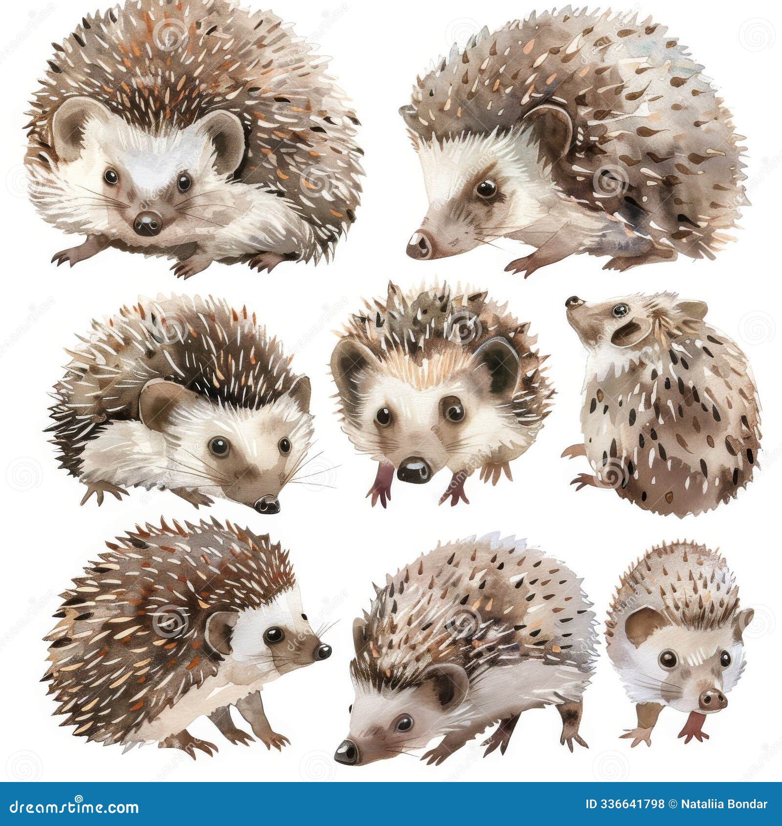 Group of Hedgehogs in Different Poses Isolated on Transparent ...