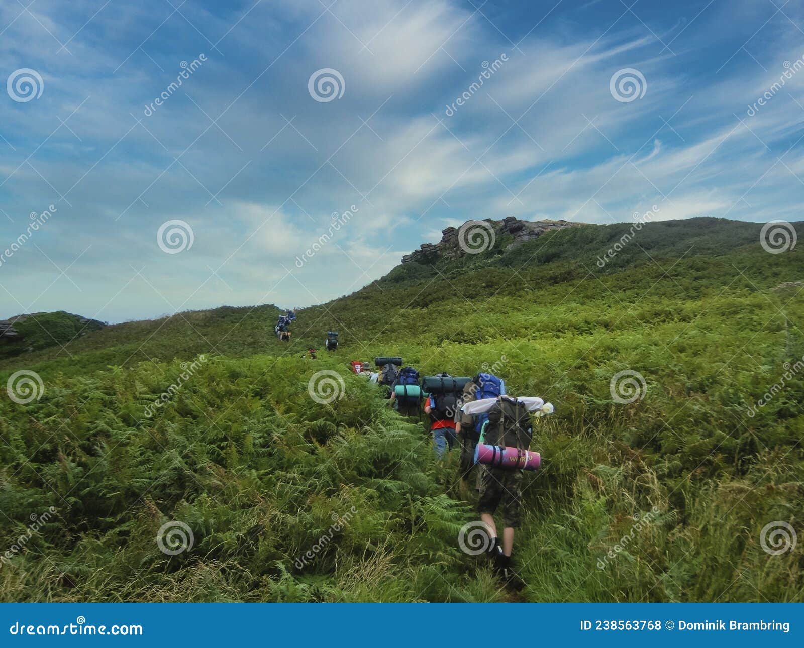 Scouts Hike through the Tall Grass Stock Photo - Image of walking ...