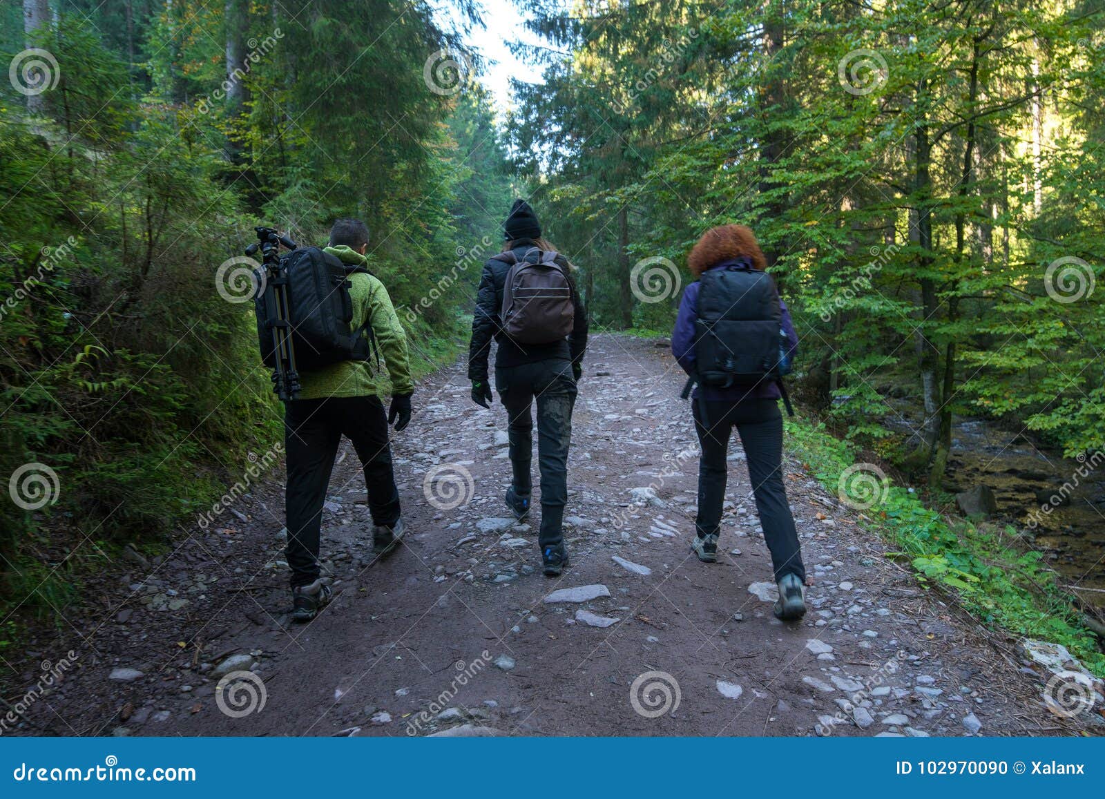 Group of hikers on a trail stock photo. Image of nature - 102970090
