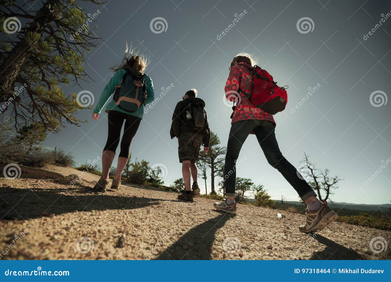 Group of Hikers on the Walkway Stock Photo - Image of group, success ...